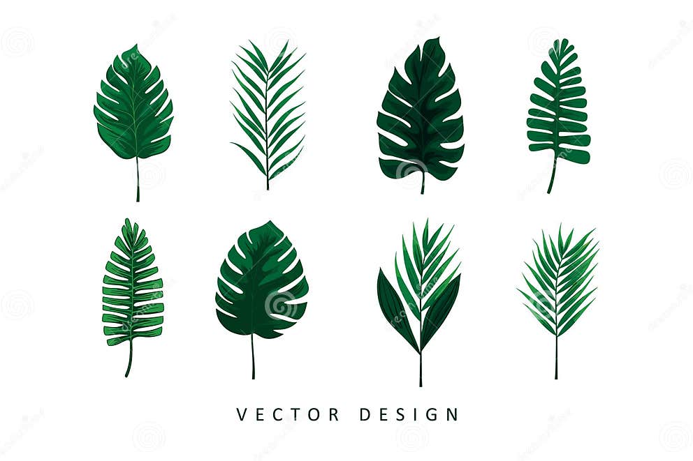 Set of Palm Tree Leaves Vector Design AI Generated Stock Illustration - Illustration of garden ...