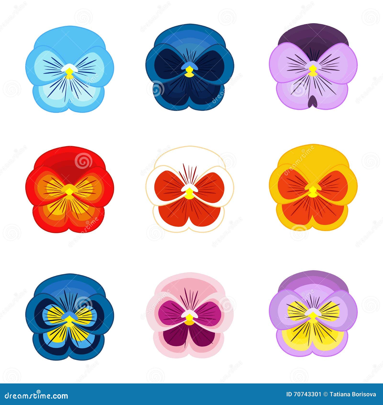 Set of Pansy Flower Vector. Stock Vector - Illustration of blue, garden ...