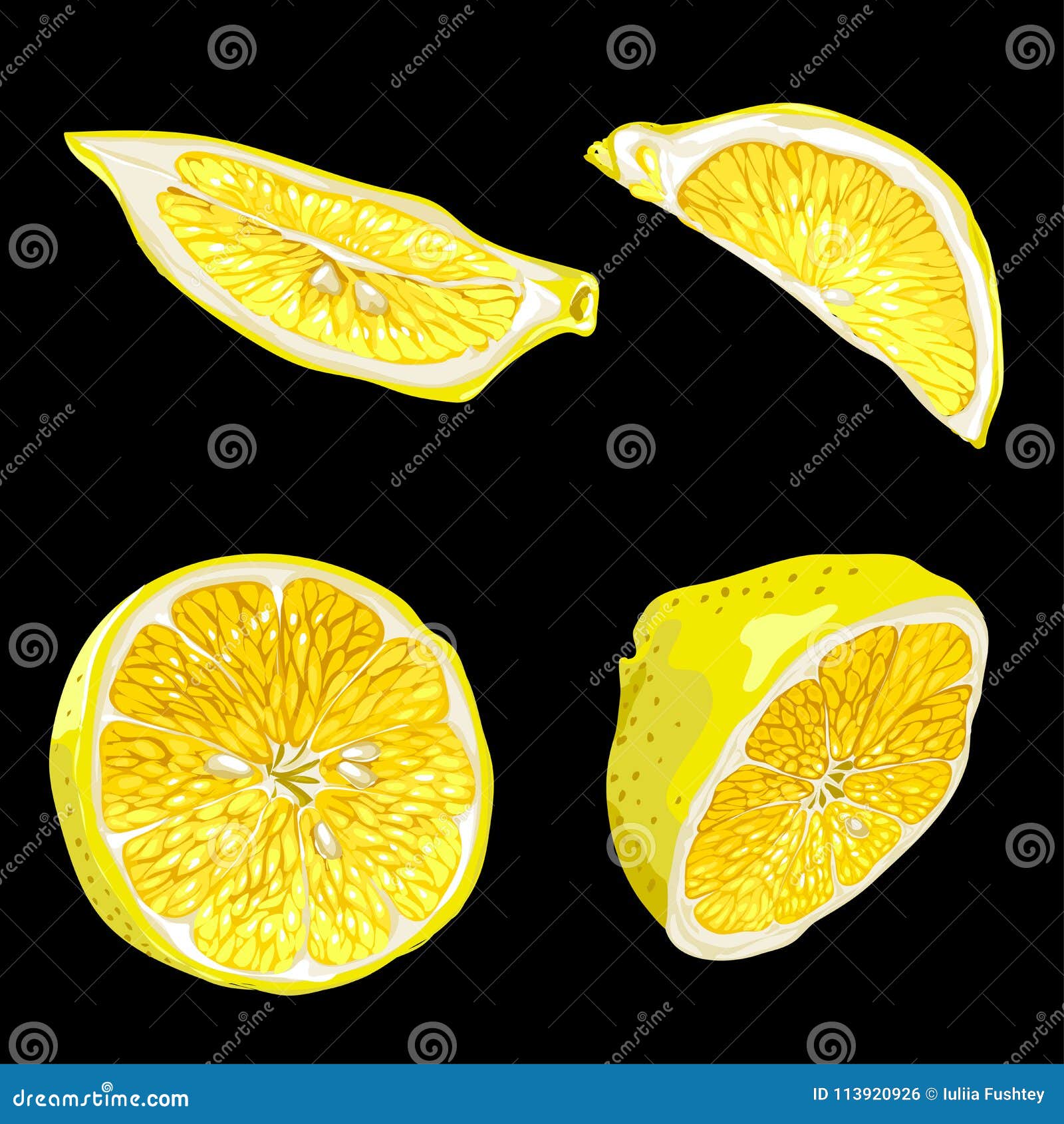 Set with Parts of Lemon Fruit in Different Forms Like Slices and Stock ...