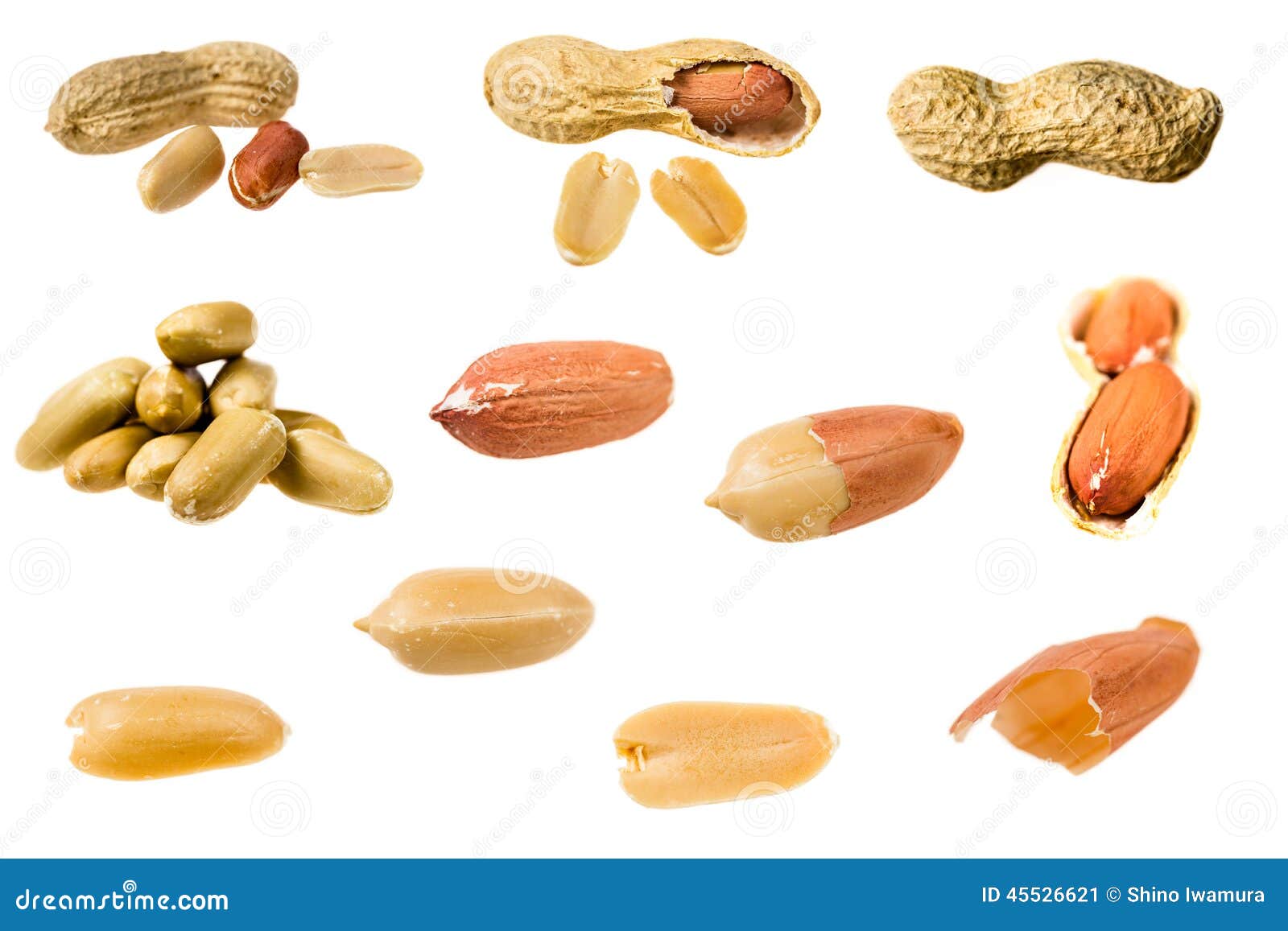 Set of peanuts isolated stock image. Image of white, fruit - 45526621