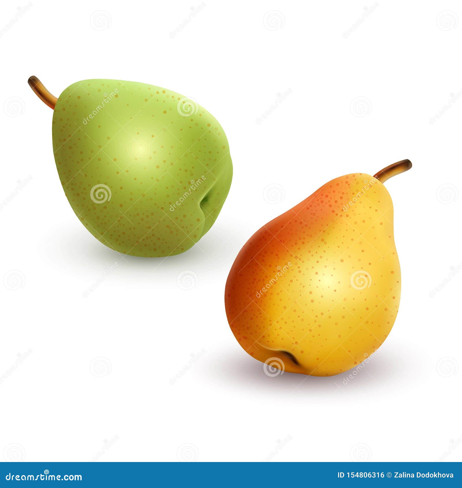 Set of Pears Different Varieties of Green and Yellow Colors, Realistic ...
