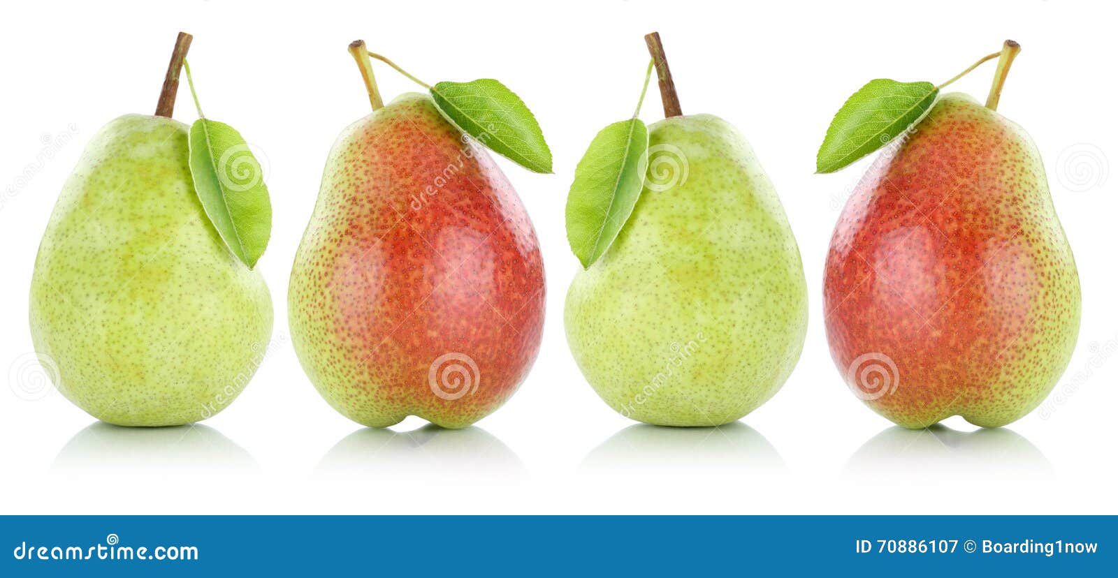 Set of Pears Pear Fruit Fruits in a Row Isolated on White Stock Image ...