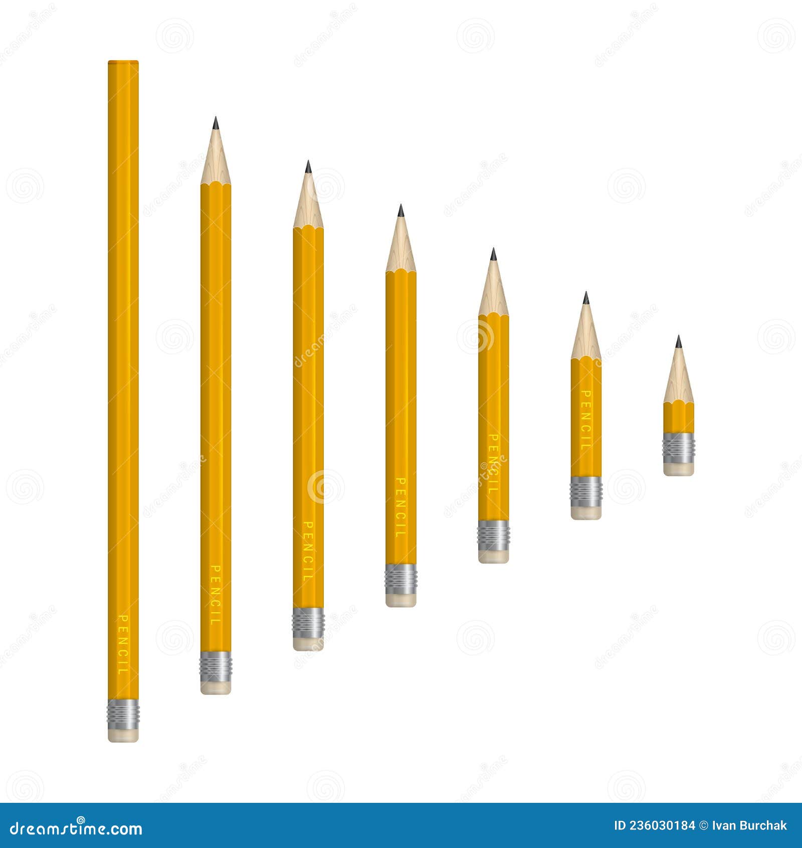 A Set of Pencils of Different Lengths, Arranged in Decreasing Order of ...
