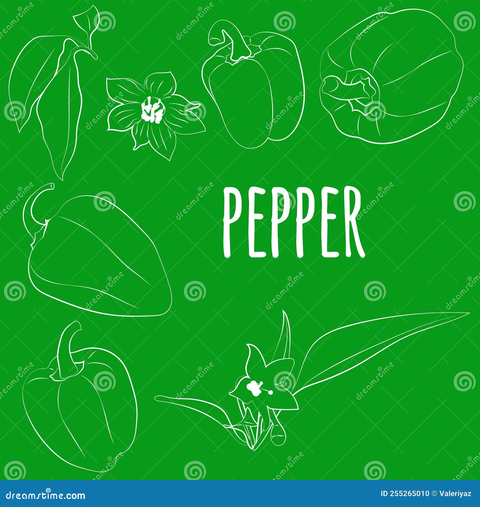 Set of Peppers with Leaves and Flowers, Linear, Outline only, No Fill ...