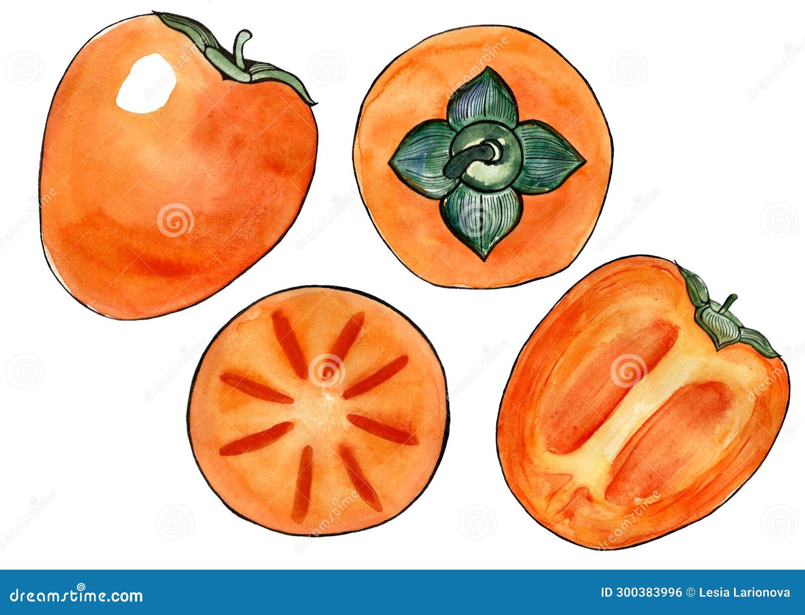 A Set of Persimmon Fruits from Different Angles and in Sections ...