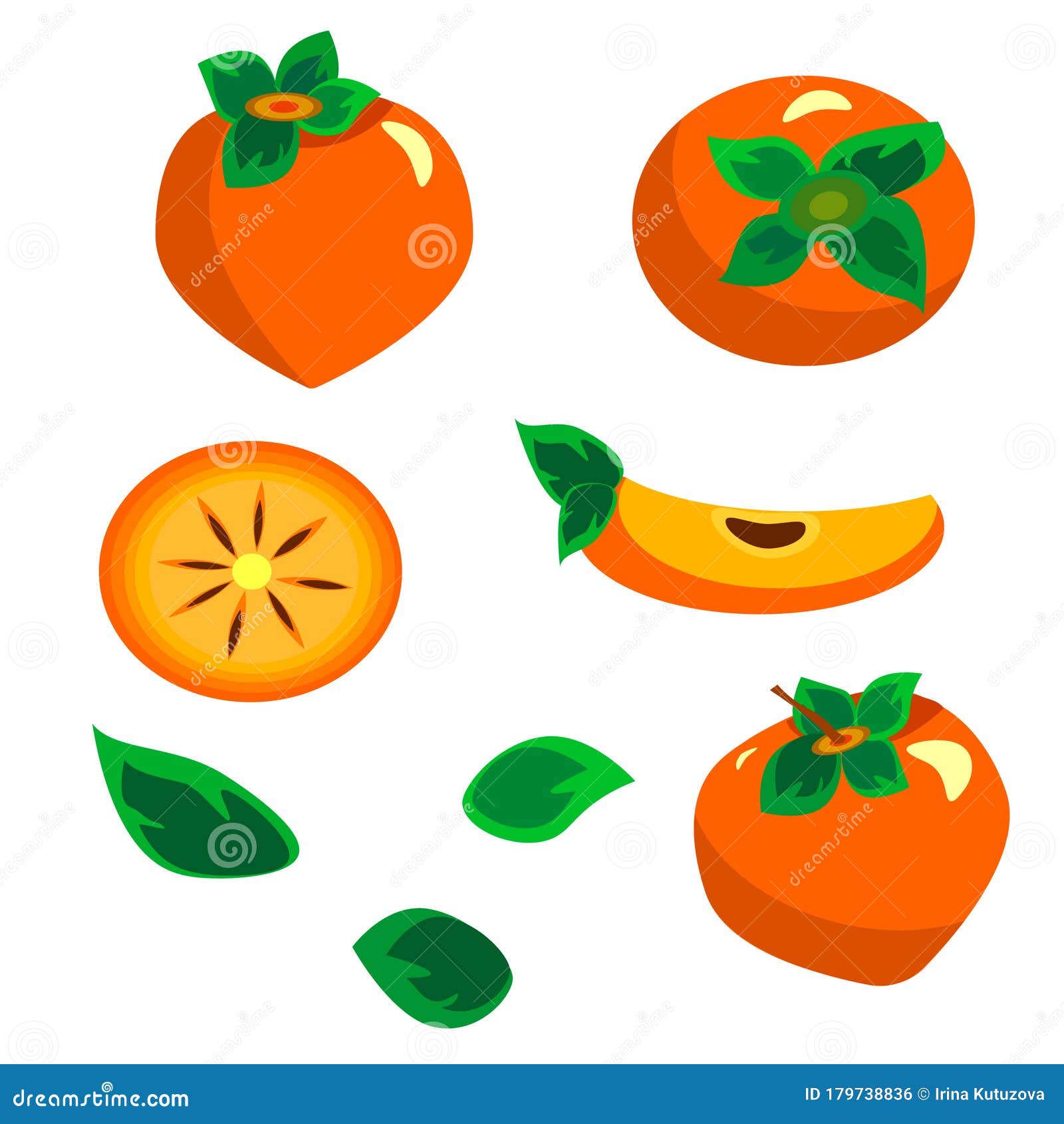Set with Persimmon. Vector Illustration. in Flat Style Stock ...