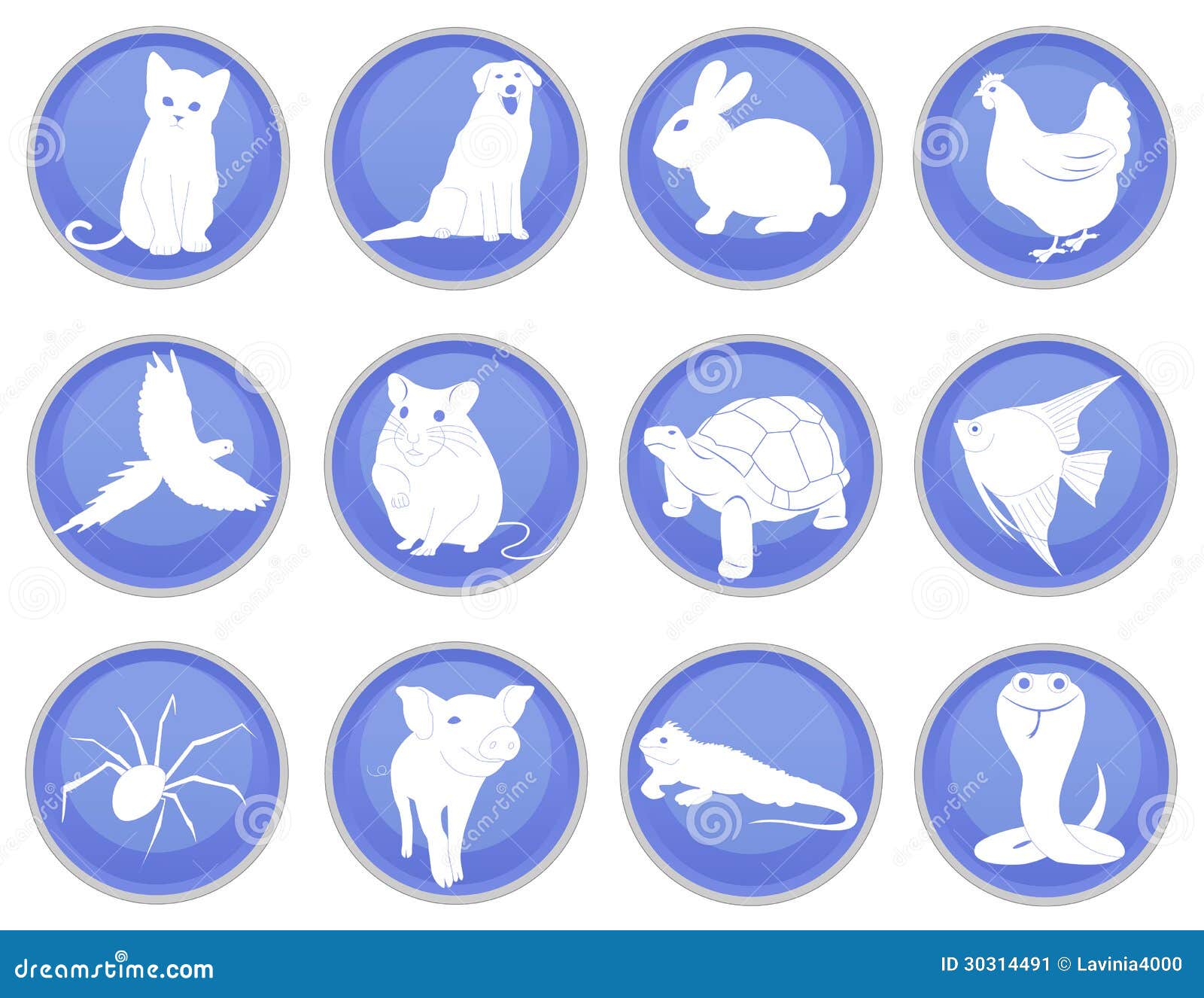 Set of pet icons stock vector. Illustration of graphic - 30314491