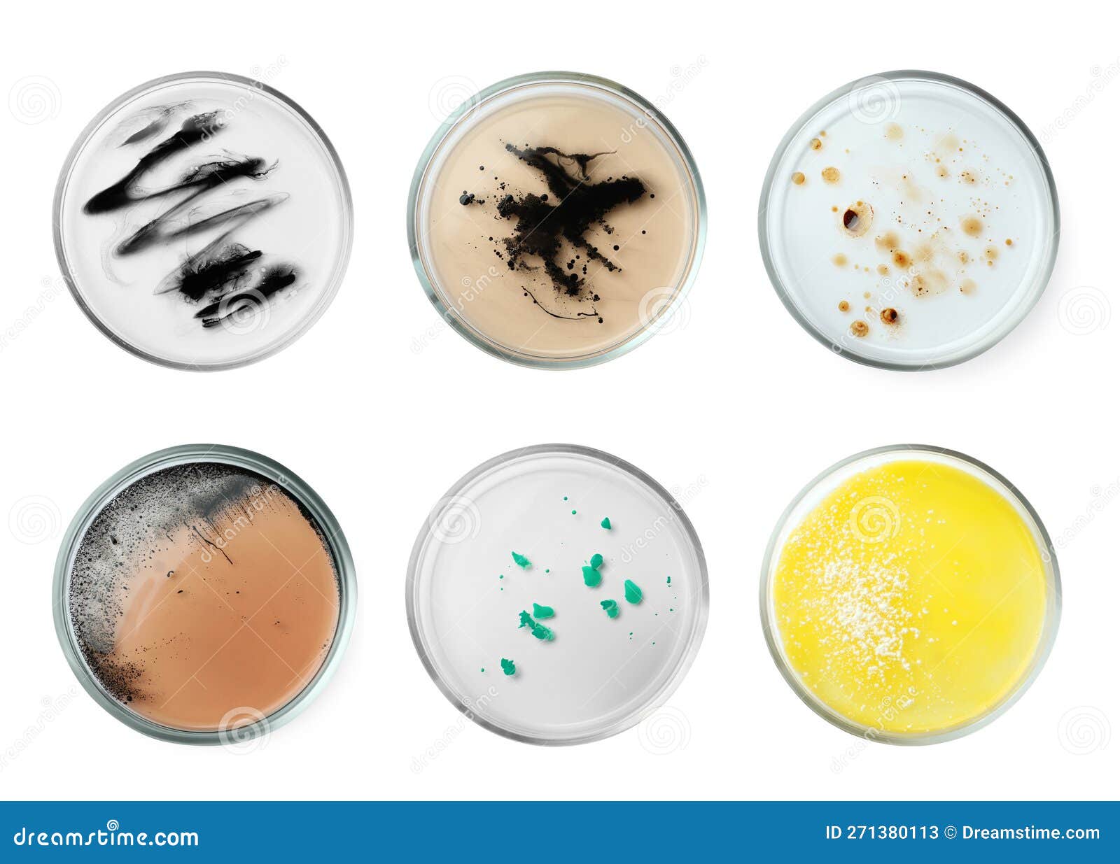 Set of Petri Dishes with Different Culture Samples on White Background ...
