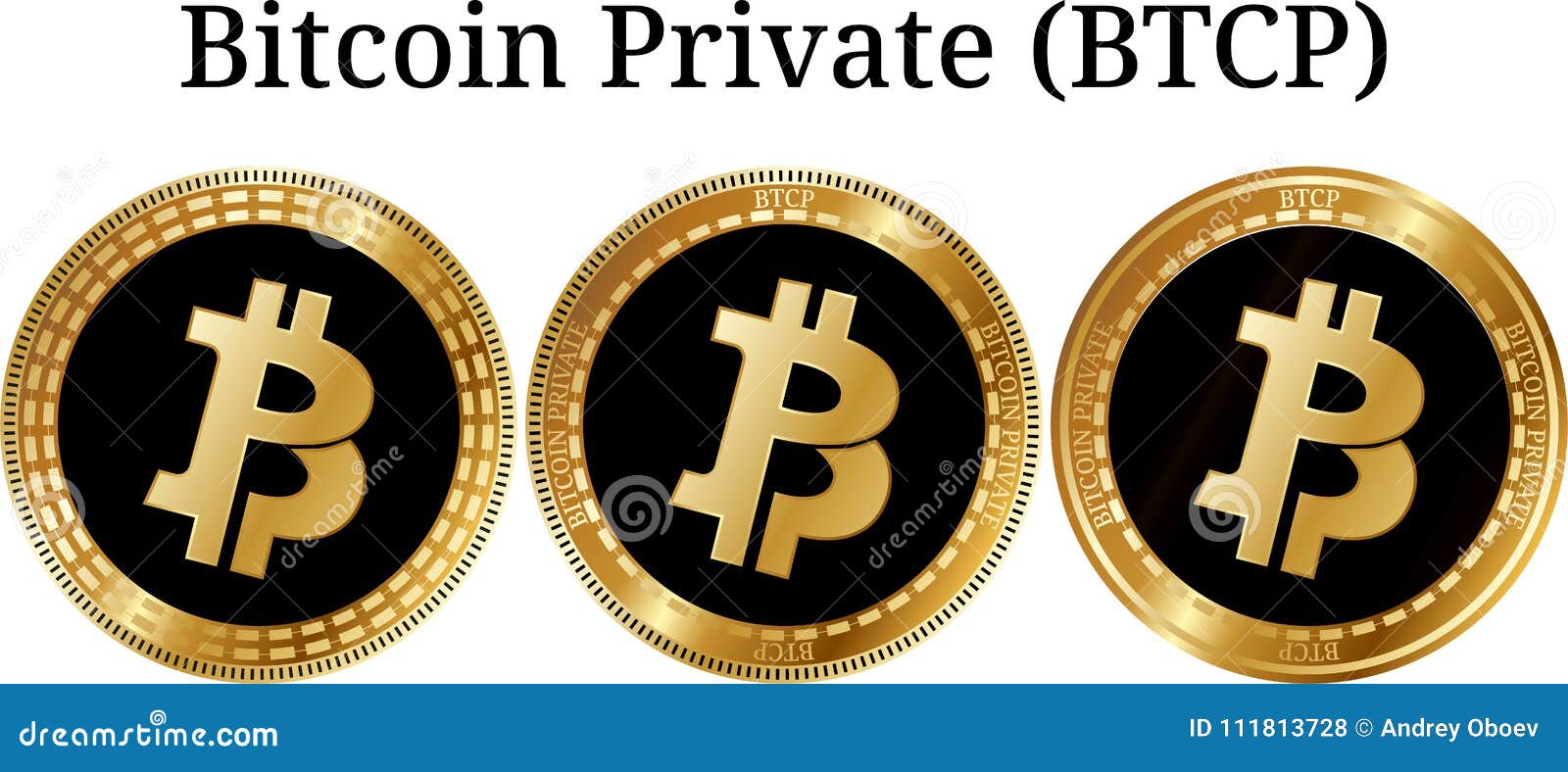 Set of Physical Golden Coin Bitcoin Private BTCP Stock Vector ... Set of Physical Golden Coin Bitcoin Private BTCP Stock Vector ...