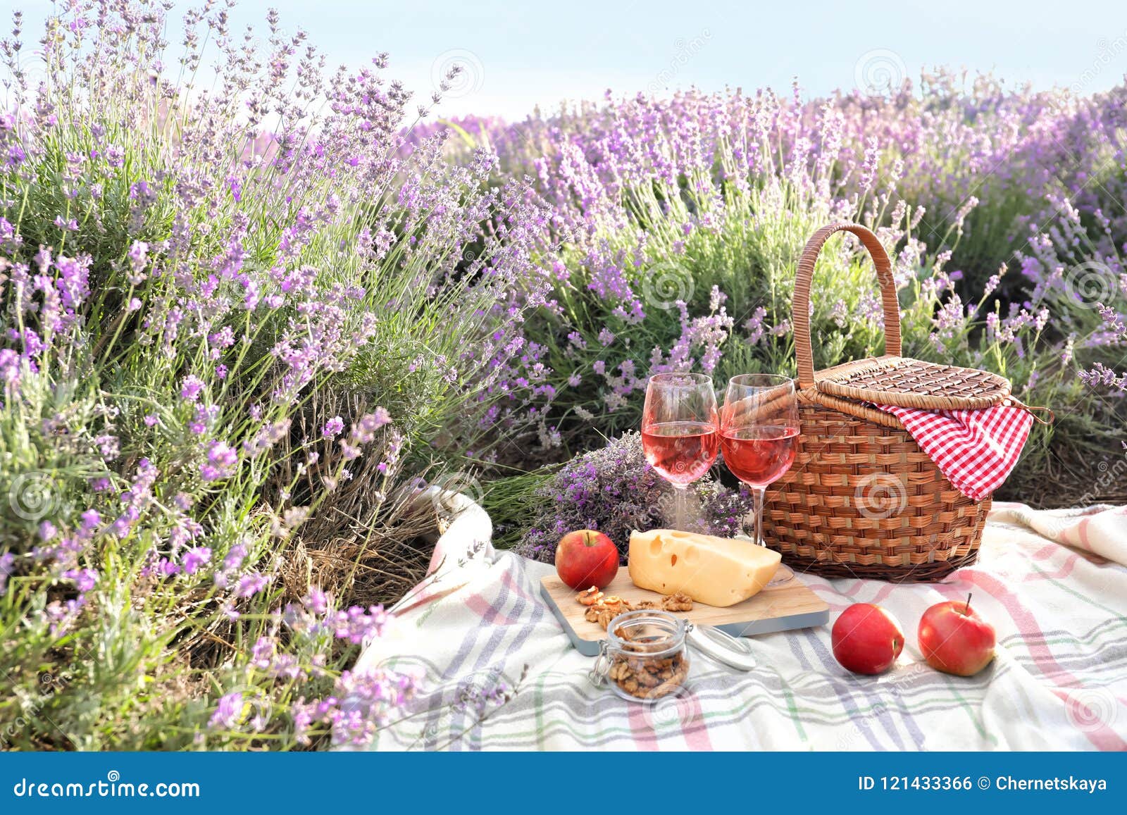 Set for Picnic on Blanket in Field Stock Photo - Image of background ...