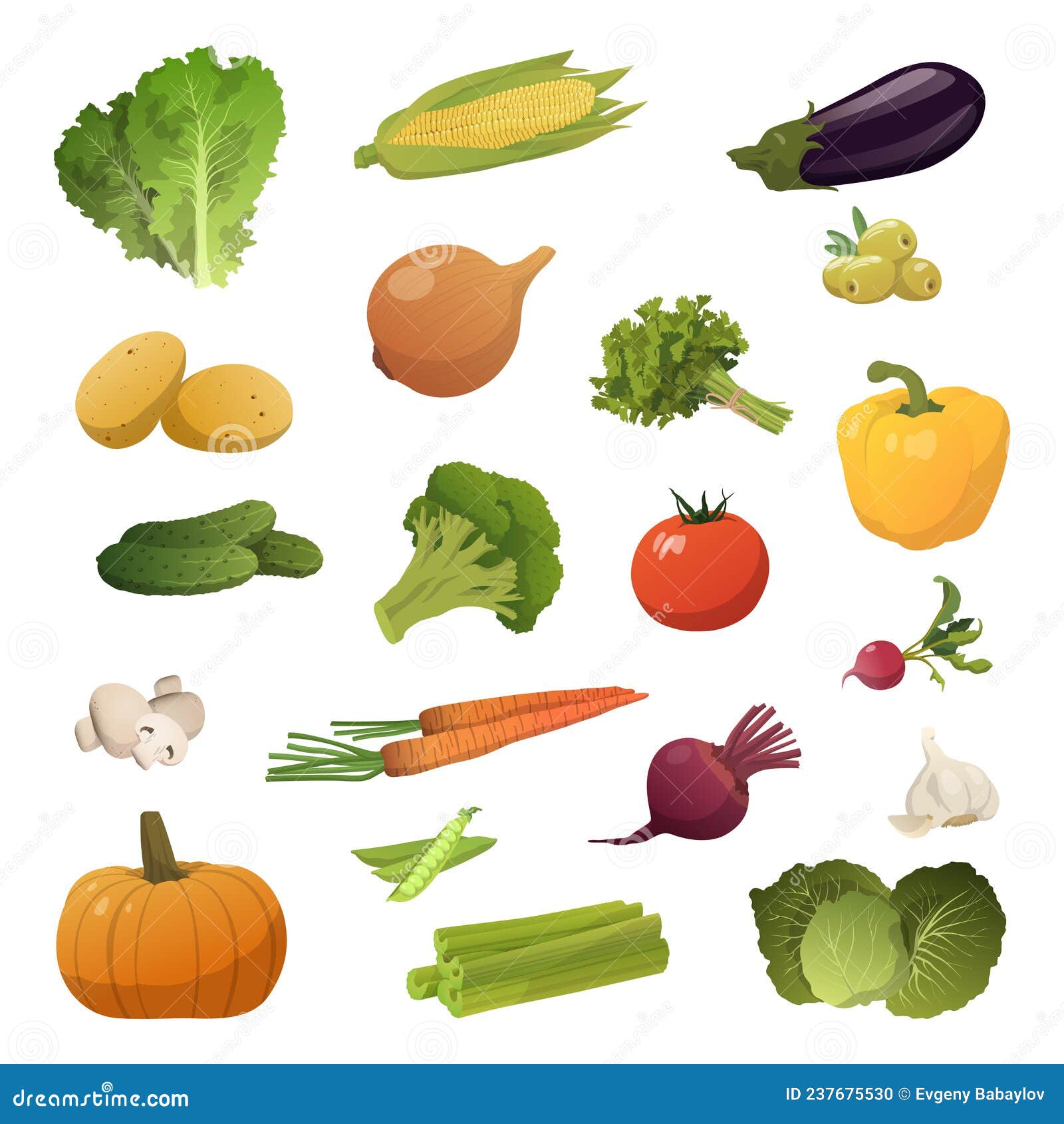 Set of 20 Pieces of Different Vegetables on a White Background - Vector ...