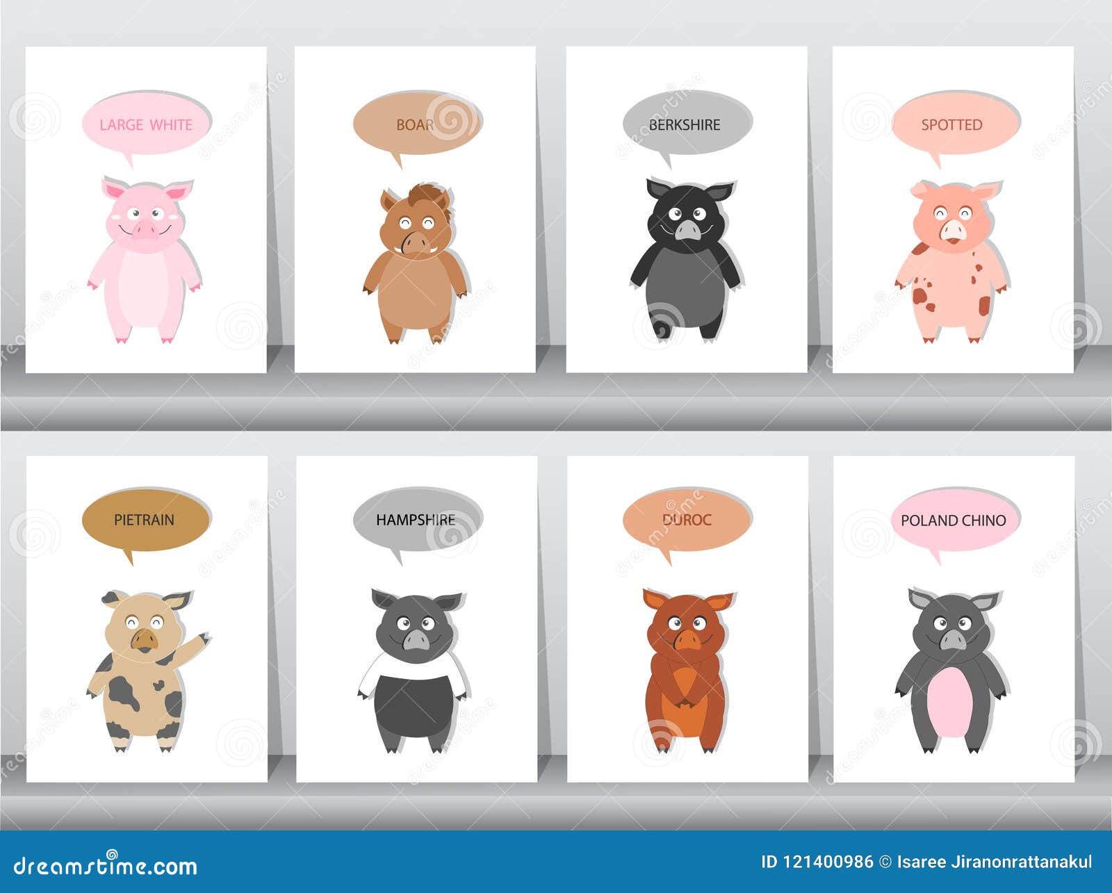 Set of Pigs, Hogs Breed, Vector Illustration Stock Vector ...