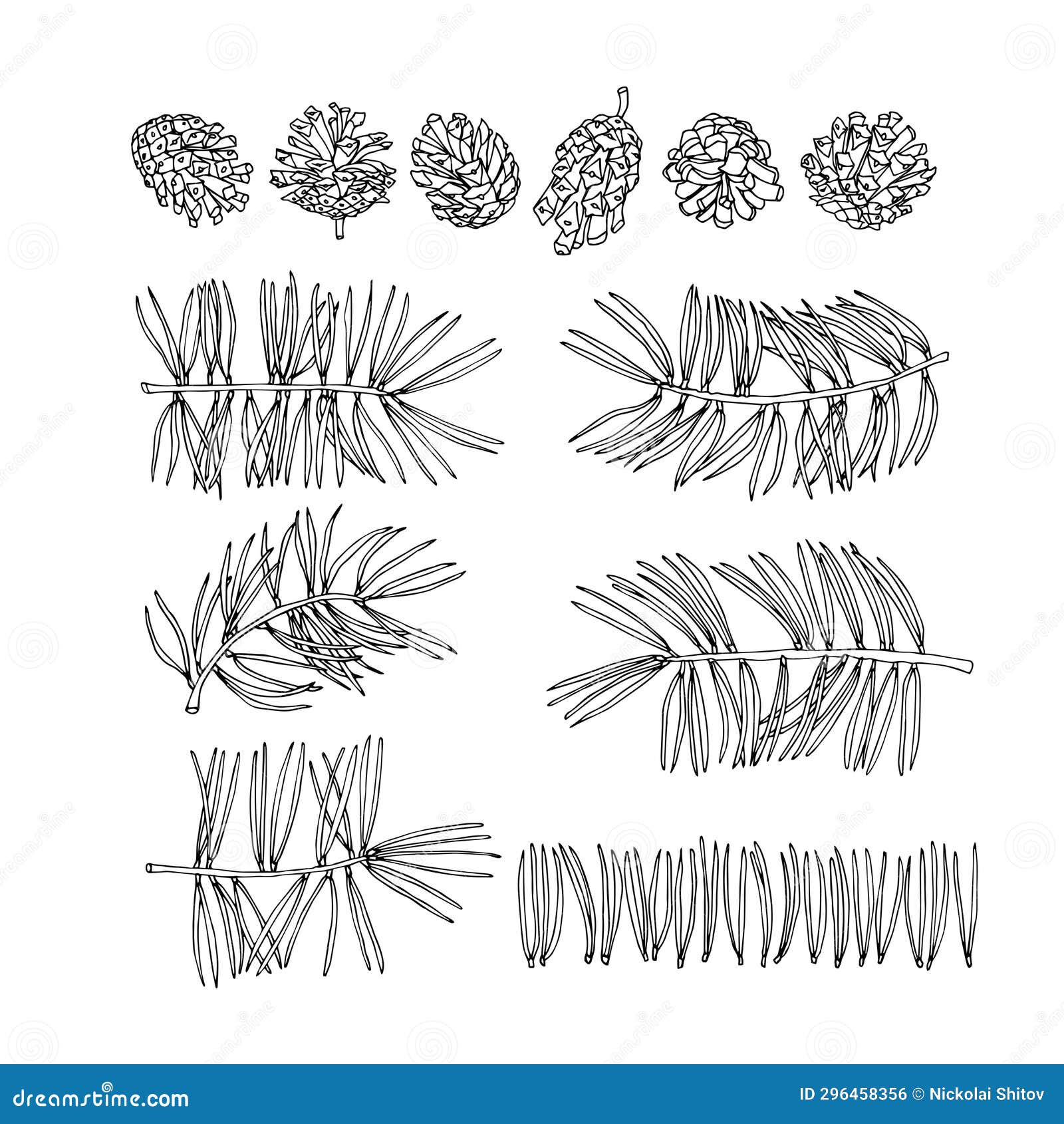 A Set of Pine Cones and Branches for Design and Patterns. Stock Vector ...