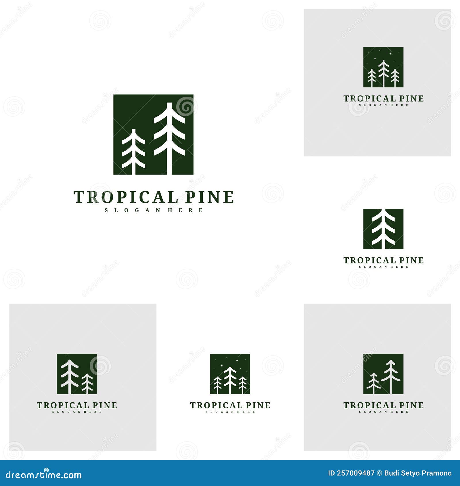 Set of Pine Tree Logo Design Vector Template, Tropical Forest Logo ...