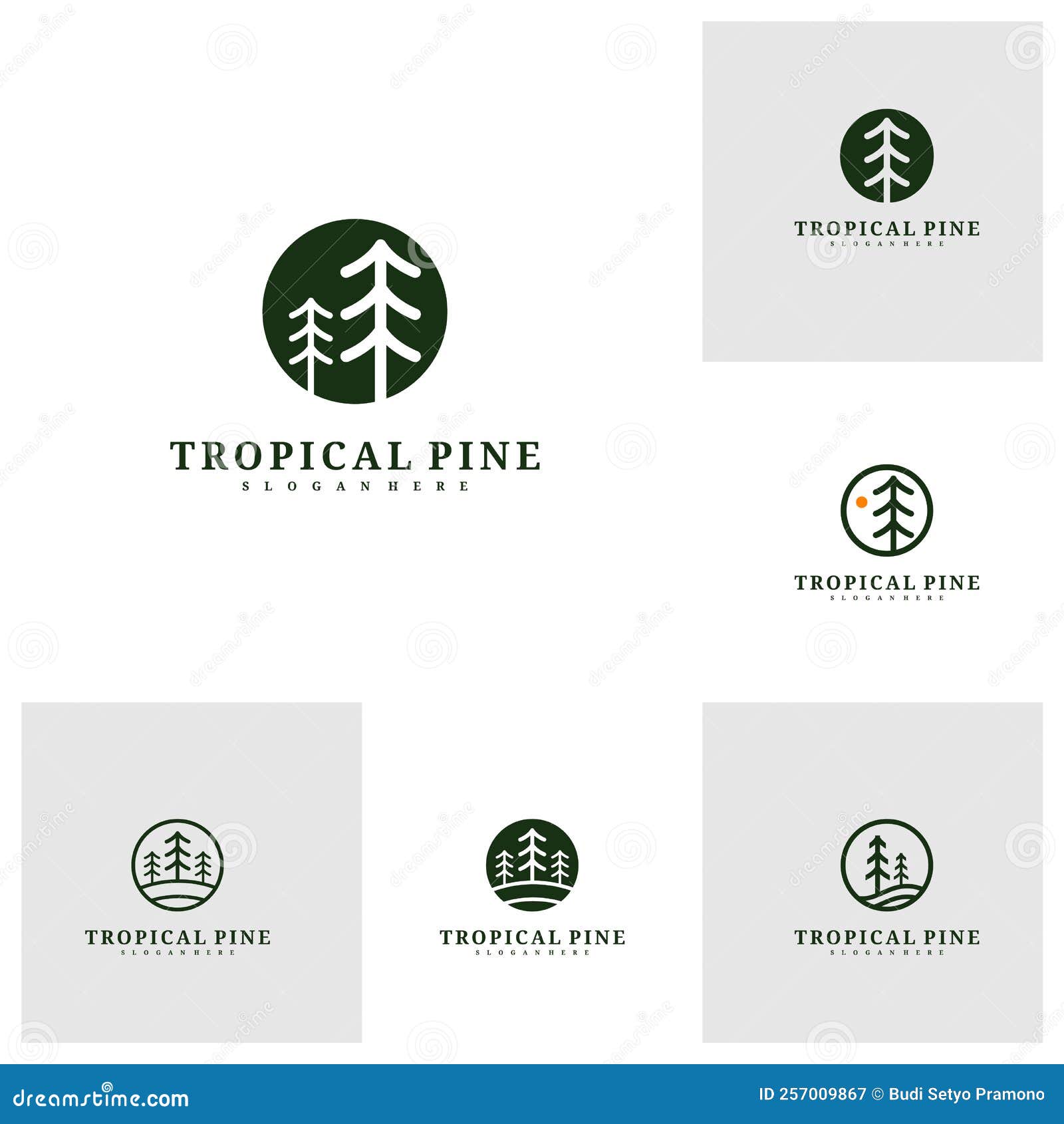 Set of Pine Tree Logo Design Vector Template, Tropical Forest Logo ...
