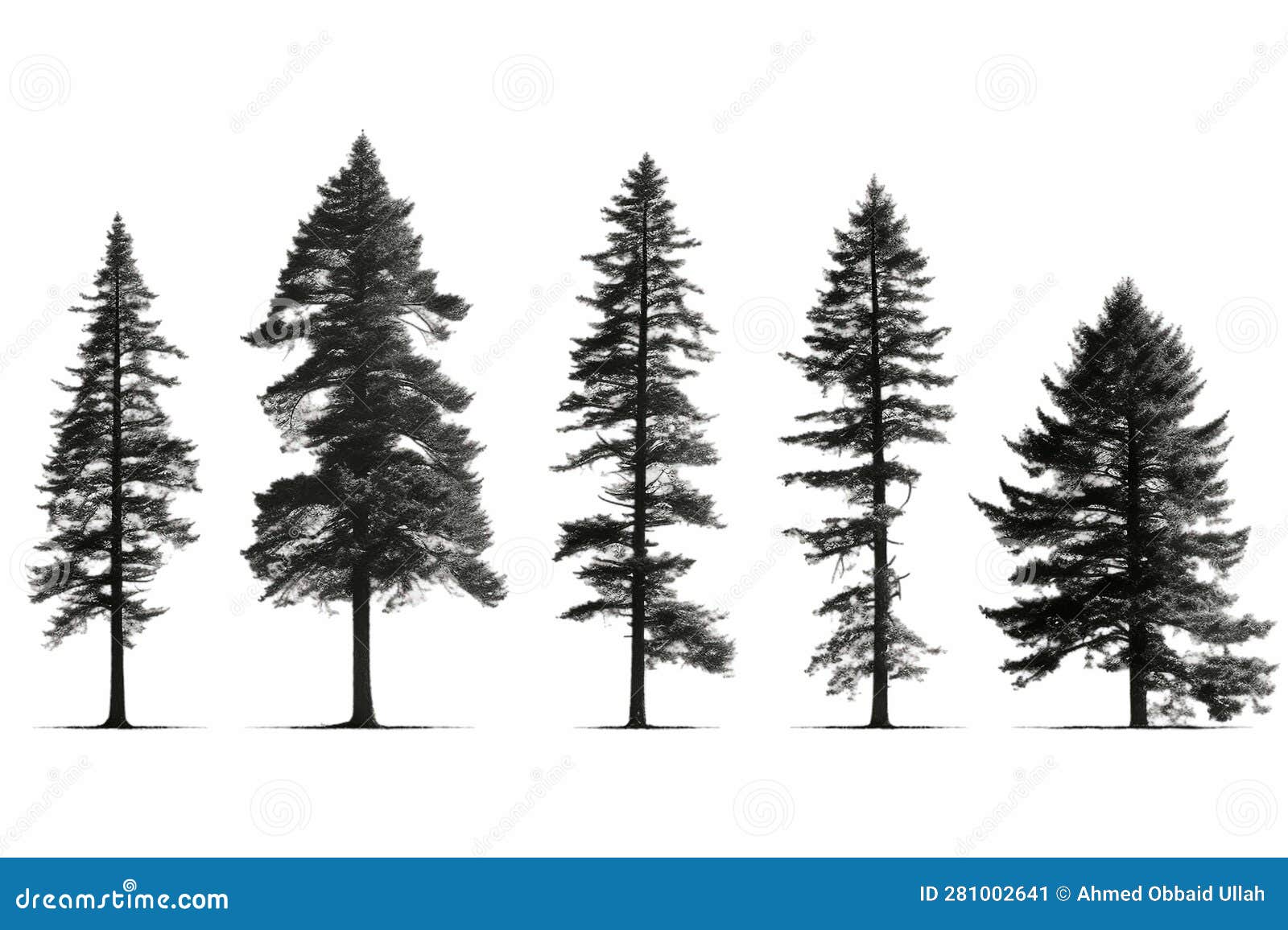 Set of Pine Trees Isolated on Transparent Background. Generative AI ...