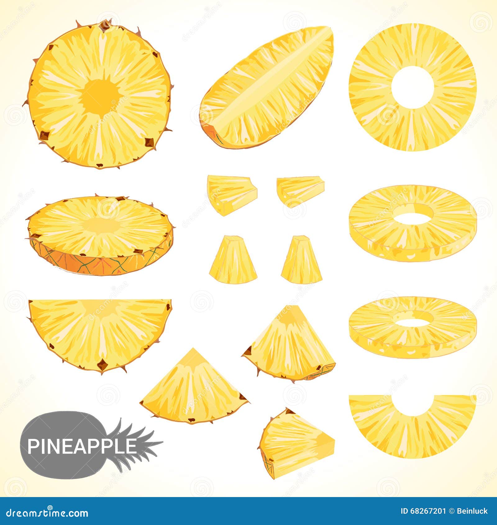 Set of Pineapple in Various Styles Vector Format Stock Vector ...