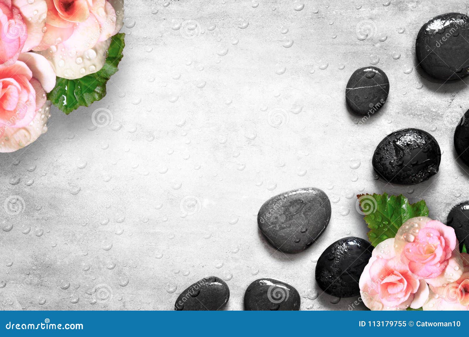 Set of Pink Rose Flowers on Pebble Stock Image - Image of natural ...