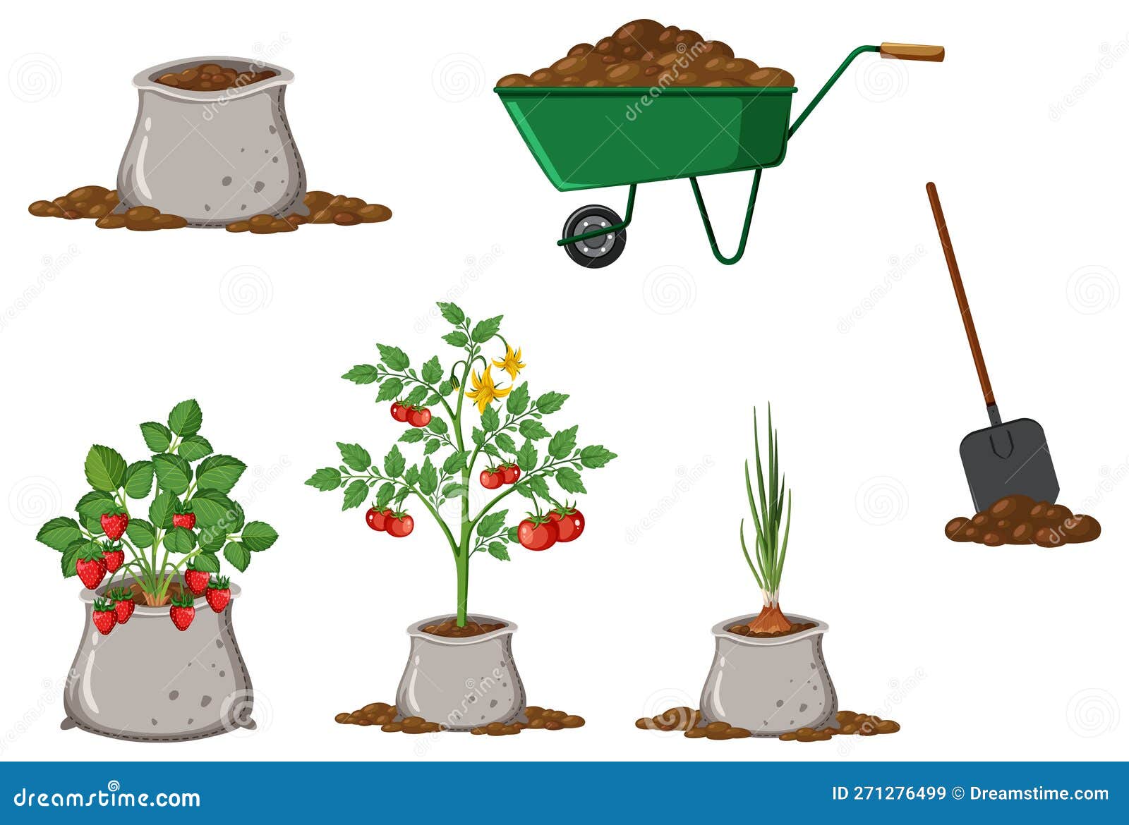 Set of Plant and Gardening Tools and Equipment Stock Vector ...