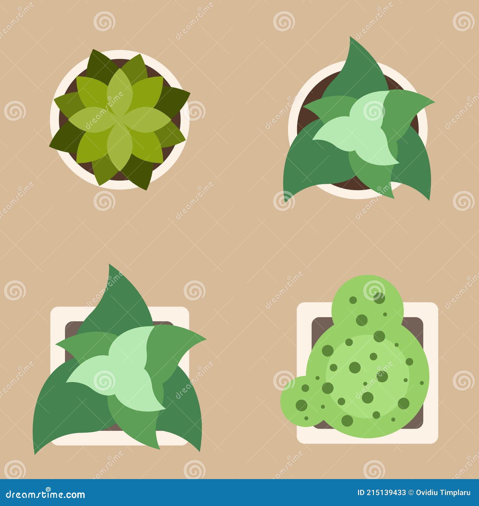 Set of Plants. Flat Vector Illustration Stock Vector - Illustration of ...