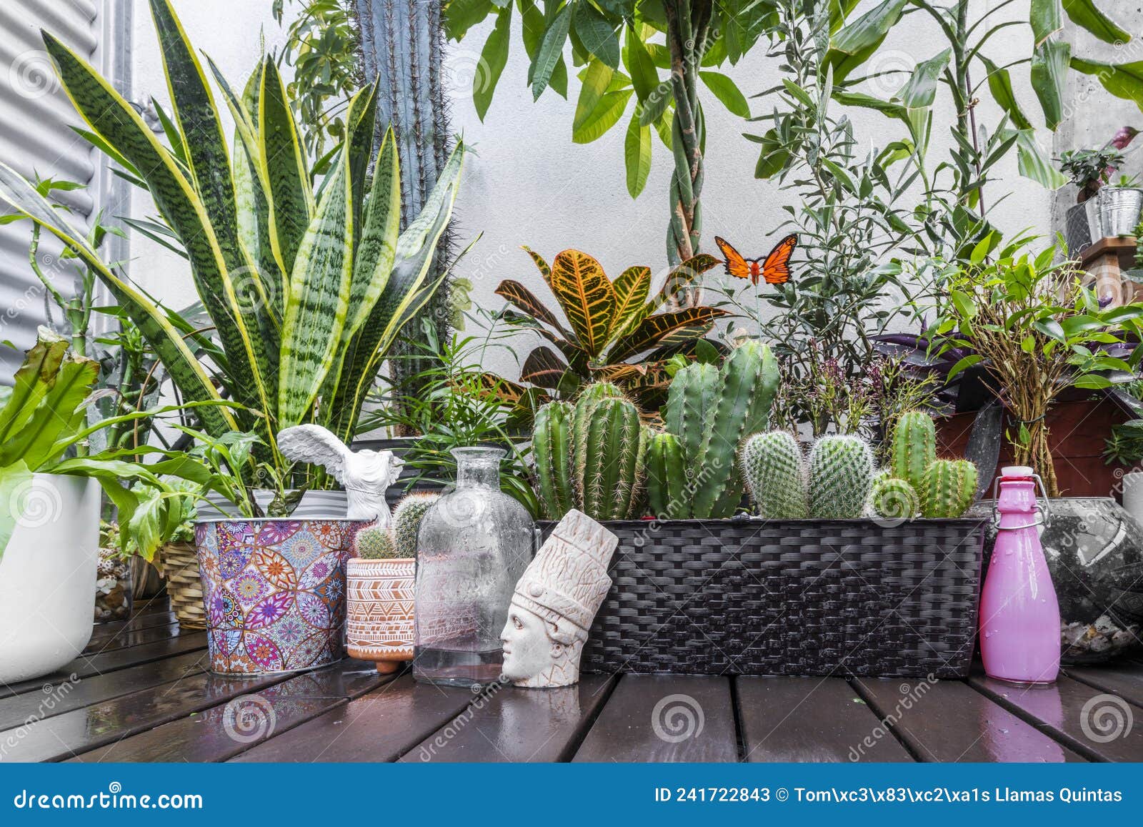 Set of Plants, Pots and Assorted Decorative Objects on a Terrace Stock ...