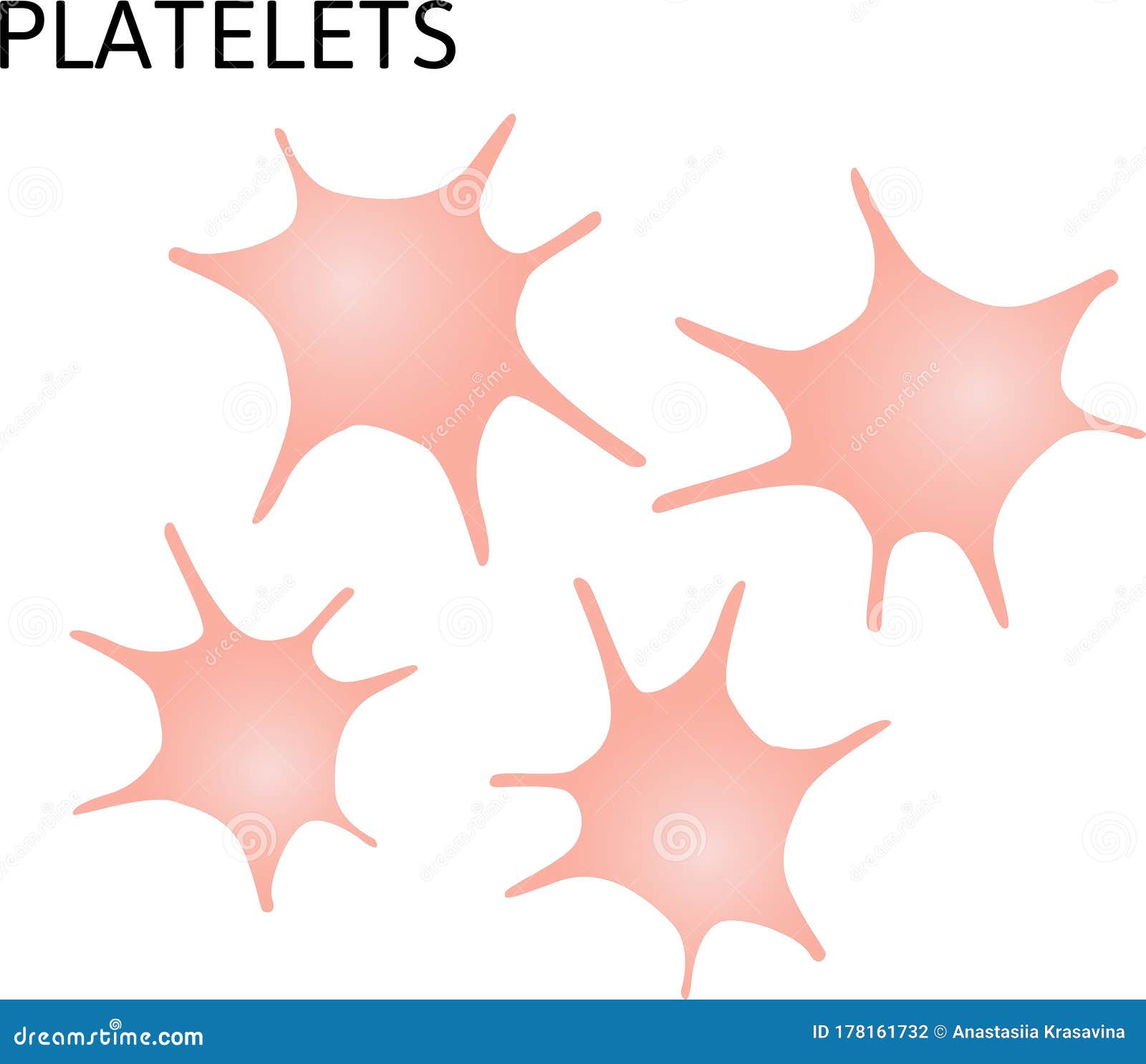 Set of Platelet Cells. Thrombocytes Stock Illustration - Illustration ...