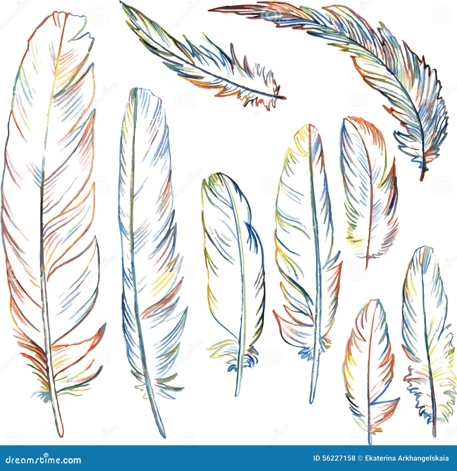 Set Of Plumes Stock Vector - Image: 56227158