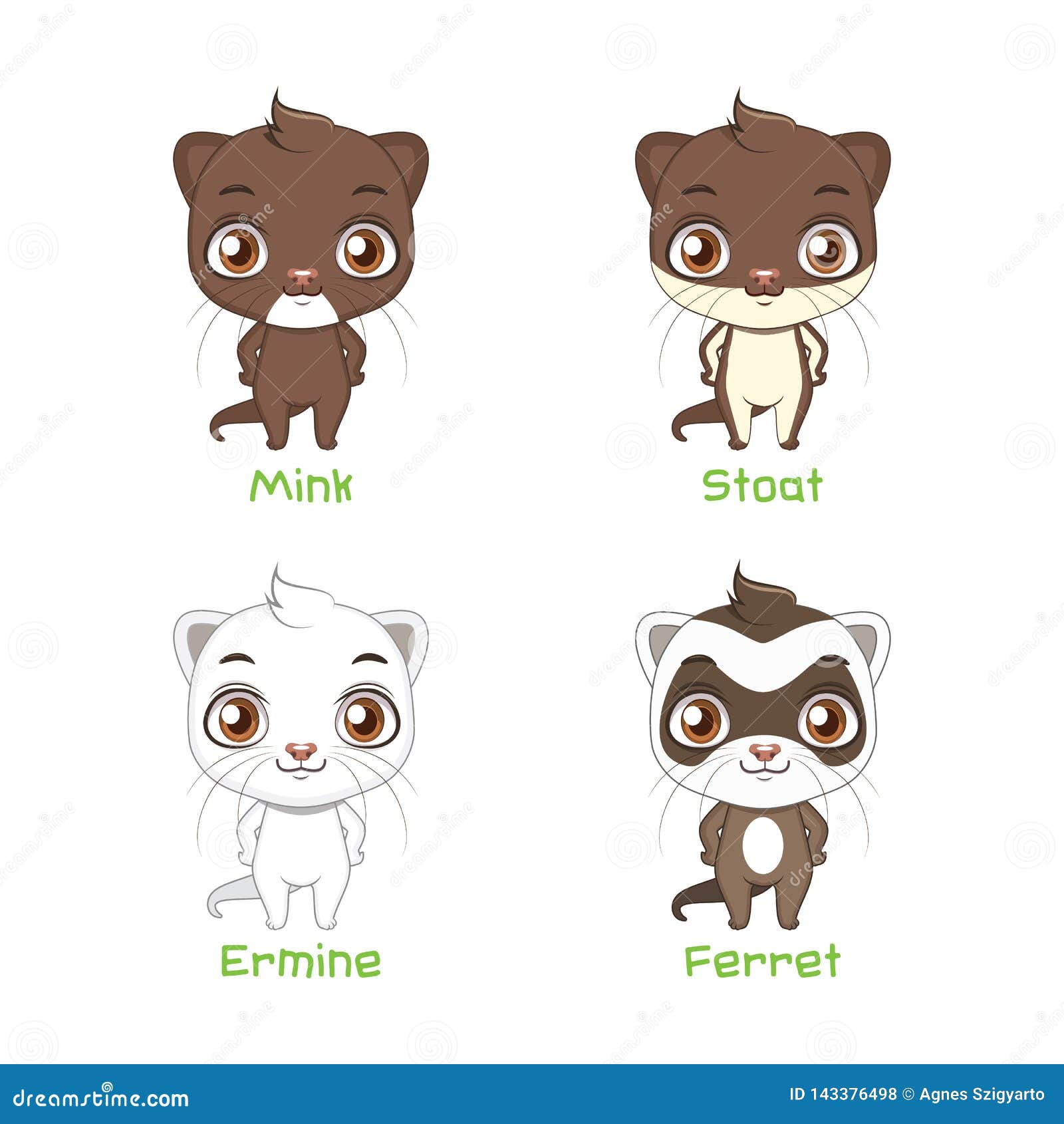 Set of polecat species stock vector. Illustration of artwork - 143376498