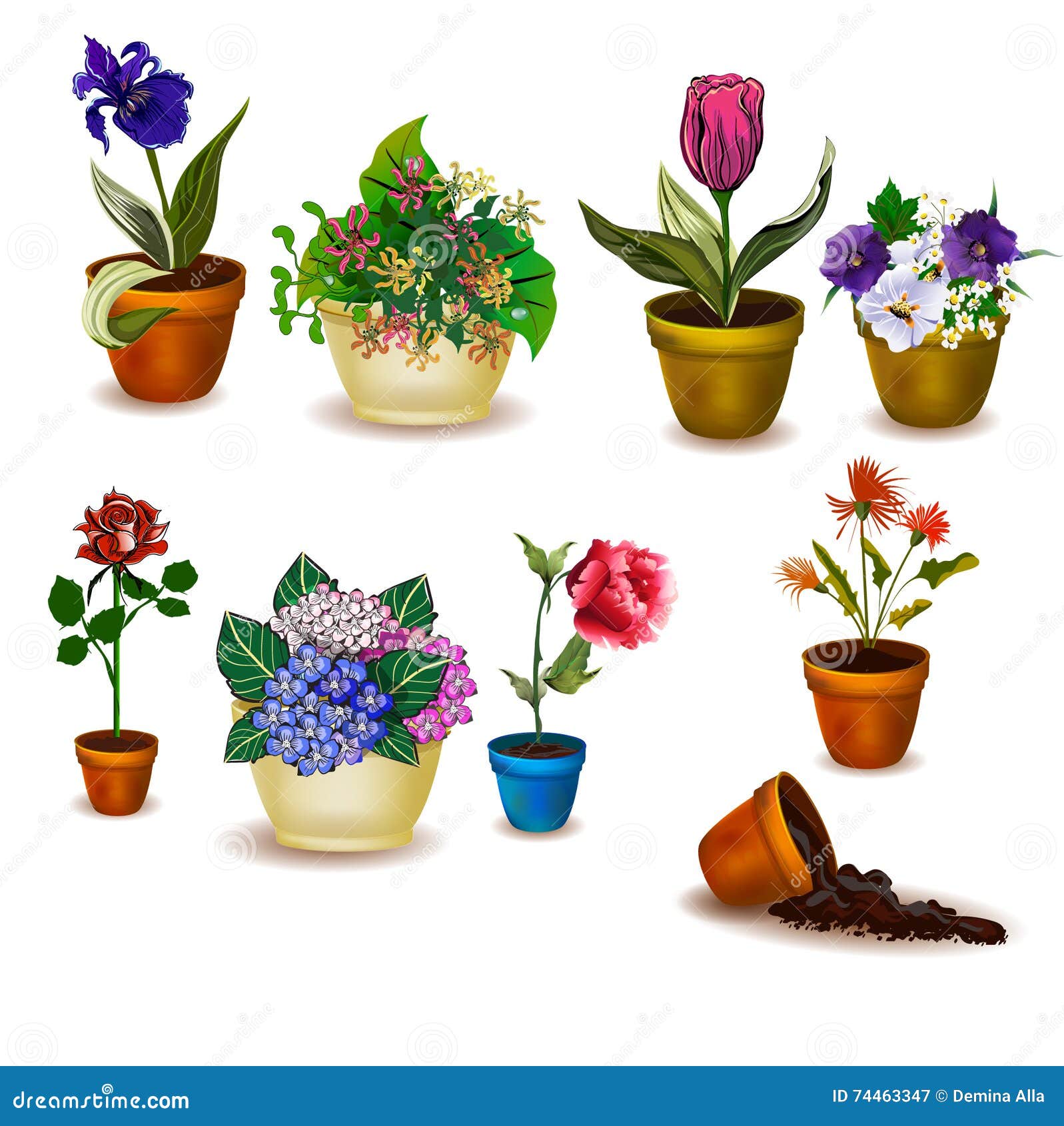 Set of pots with flowers stock vector. Illustration of flowers - 74463347
