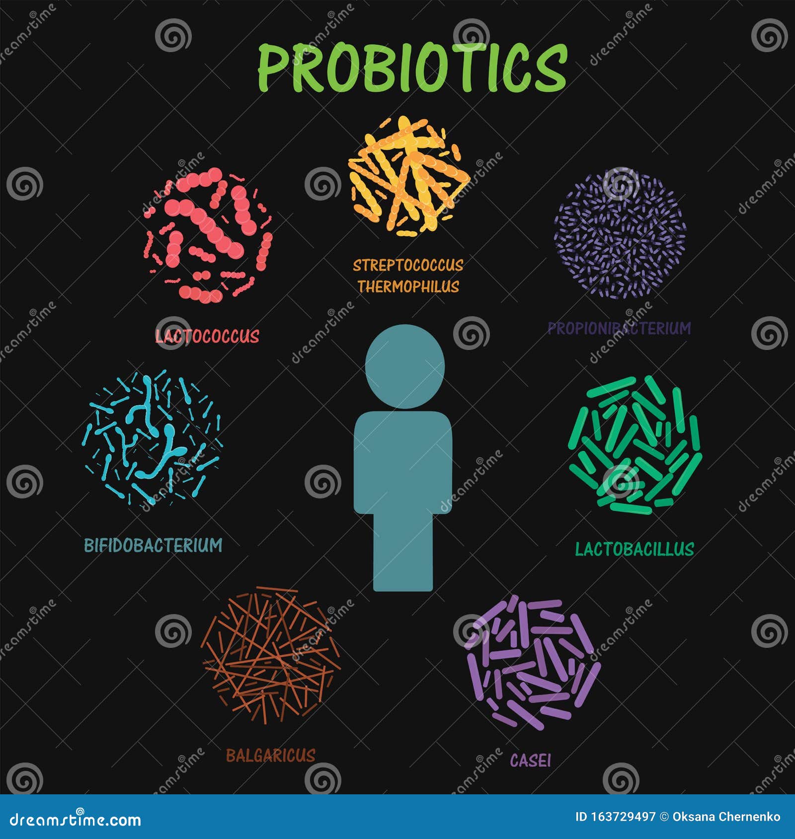 Set of probiotic bacteria stock vector. Illustration of bifidobacteria ...