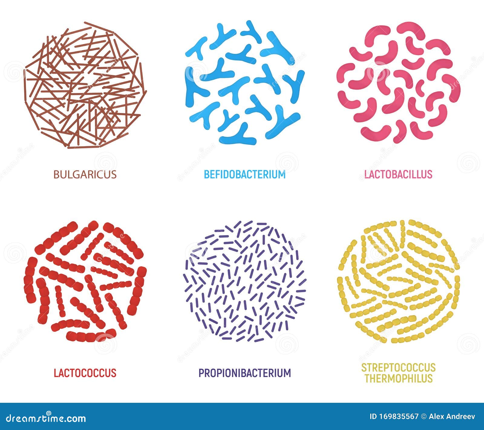 Set Of Probiotics Icon Concept Logo And Label Health Research Symbol