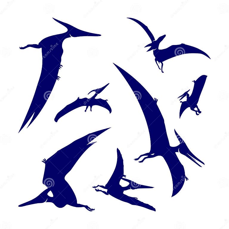 Set of Pterosaurs Logo Design Vector. Icon Symbol Stock Vector ...