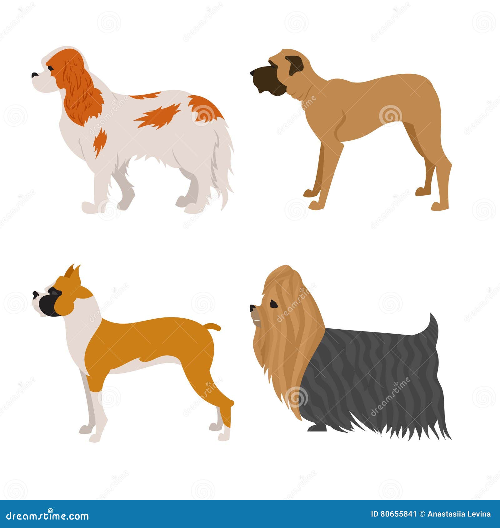 Set of purebred dogs stock vector. Illustration of friendly - 80655841