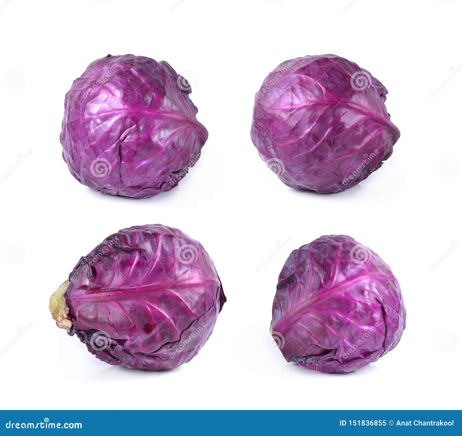 Set of Purple Cabbage Isolated on White Background Stock Image - Image ...