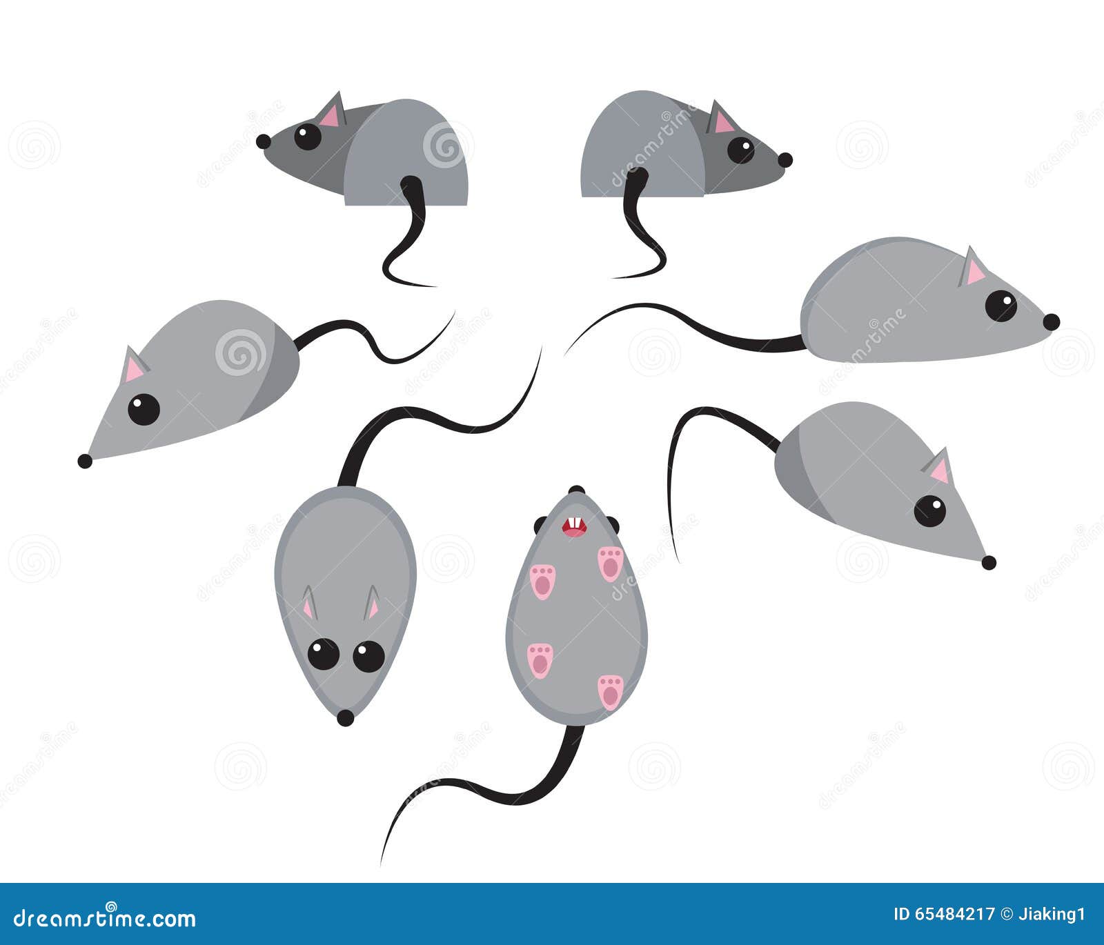 Set of rat in flat style stock vector. Illustration of mammal - 65484217