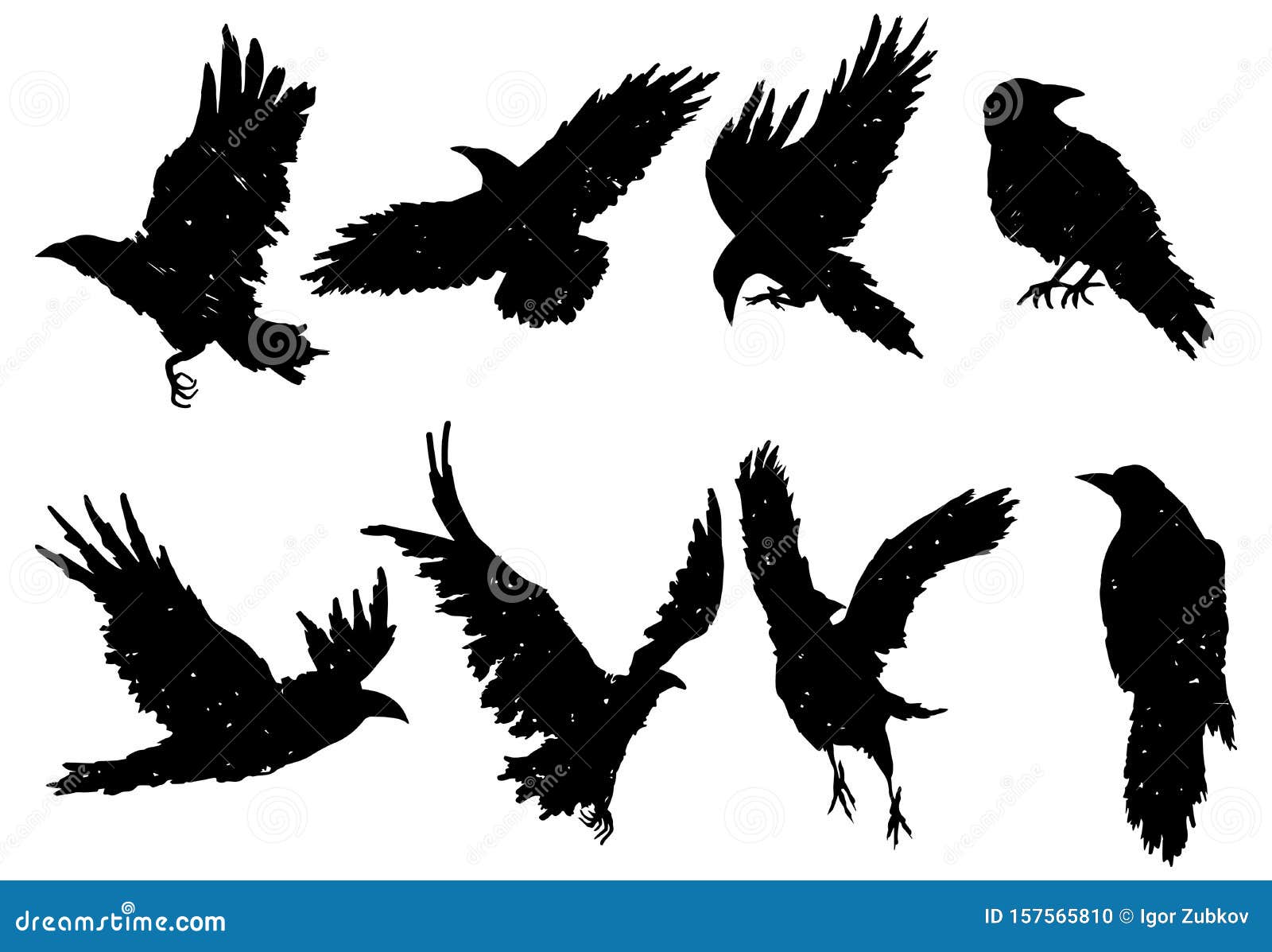 Set of Ravens. a Collection of Black Crows. Silhouette of a Flying Crow Stock Vector ...