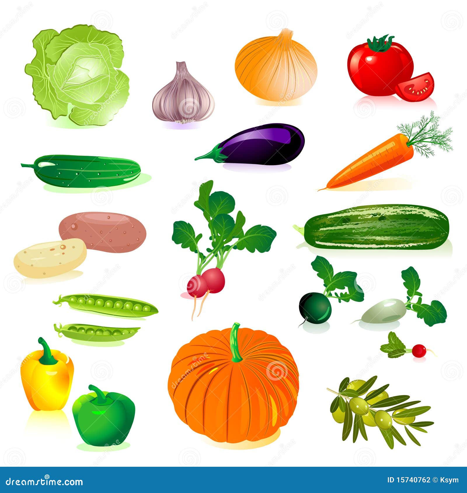 Set of raw vegetables stock vector. Illustration of onion - 15740762