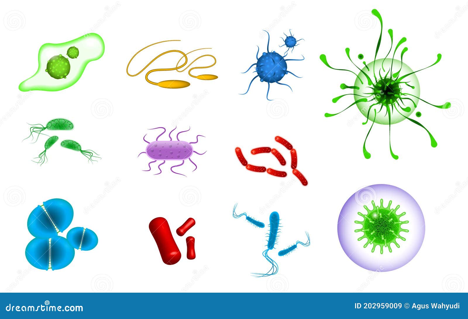 Realistic Germs. Microscopic Bacillus And Infection Cells, Colorful ...