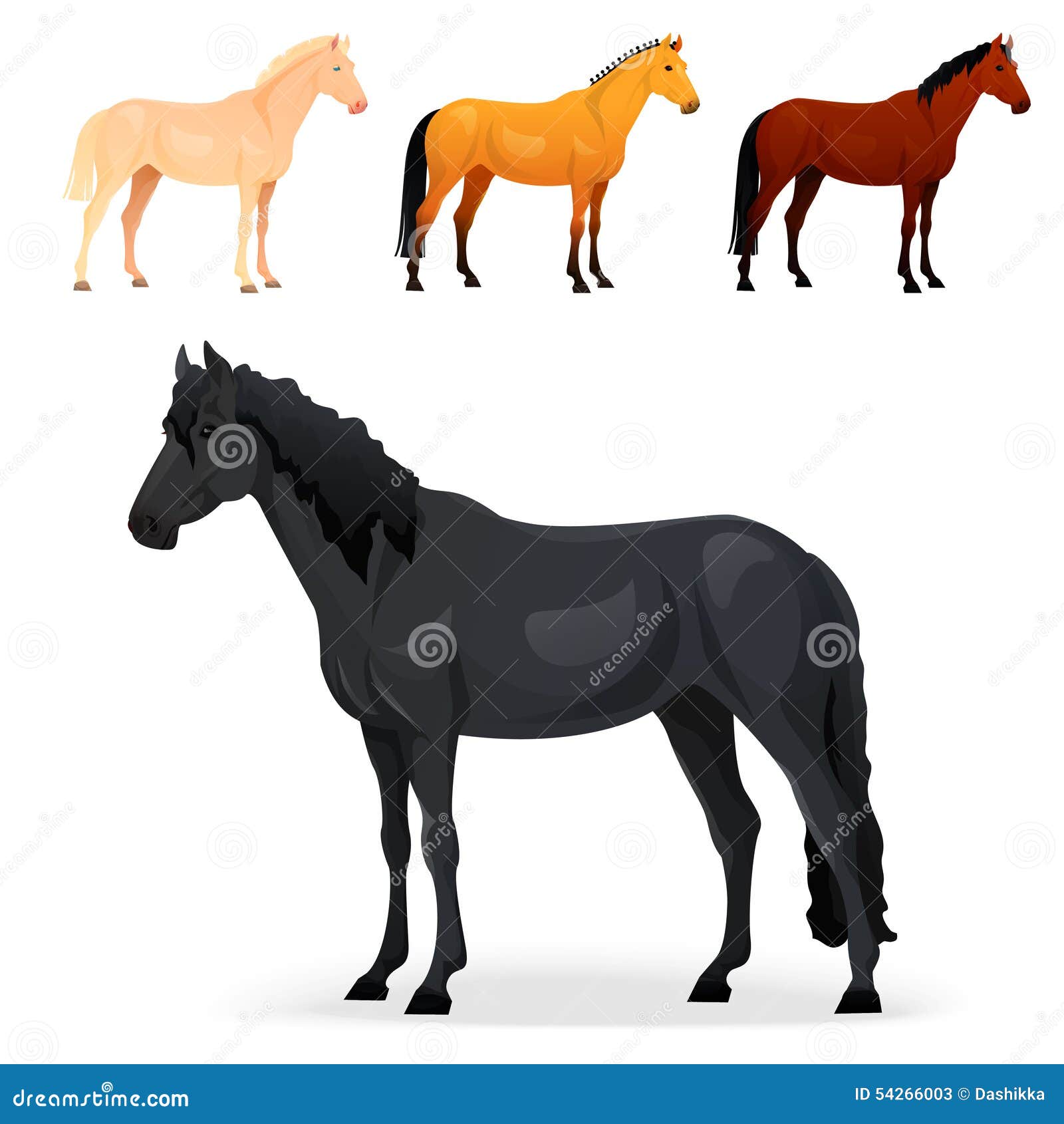 Realistic Horse Head Border Set Vector Illustration | CartoonDealer.com ...