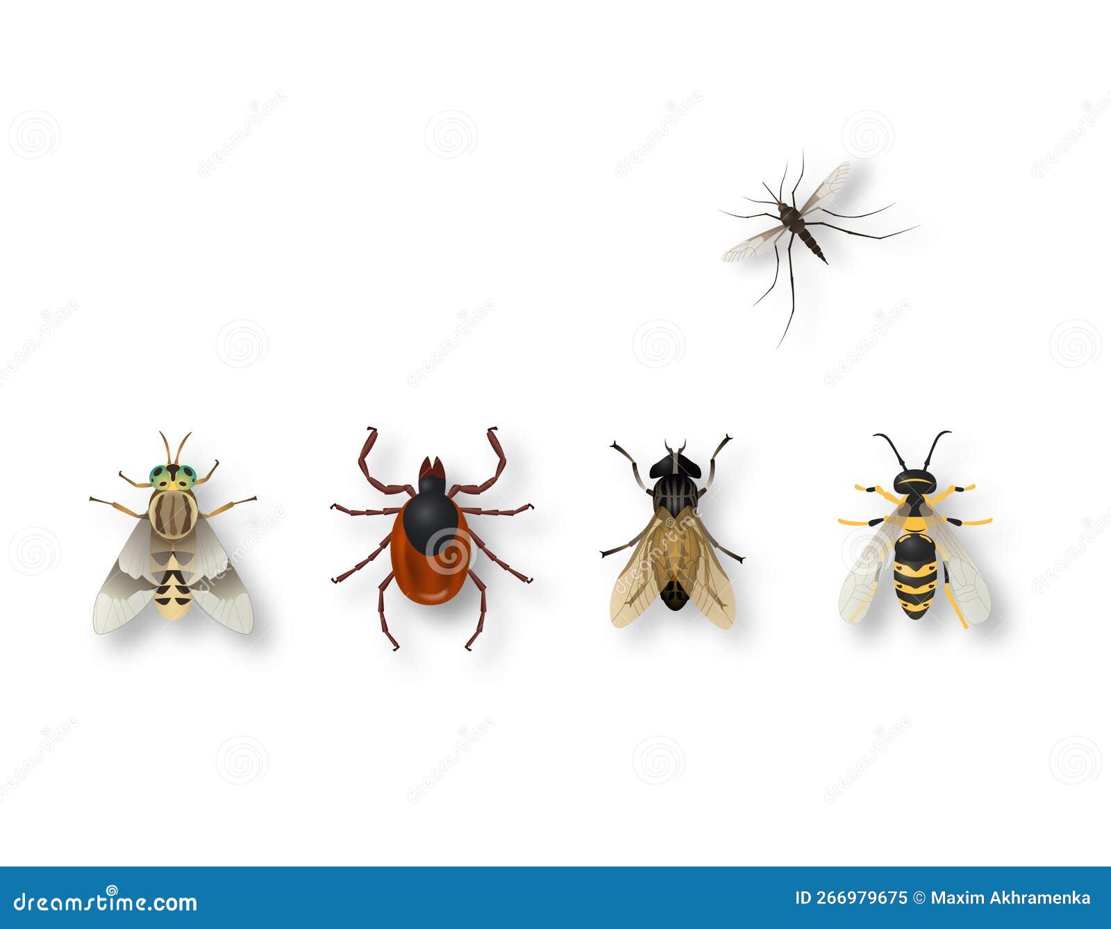 Set Of Realistic Insects In Cartoon Style. Vector Bugs Set ...