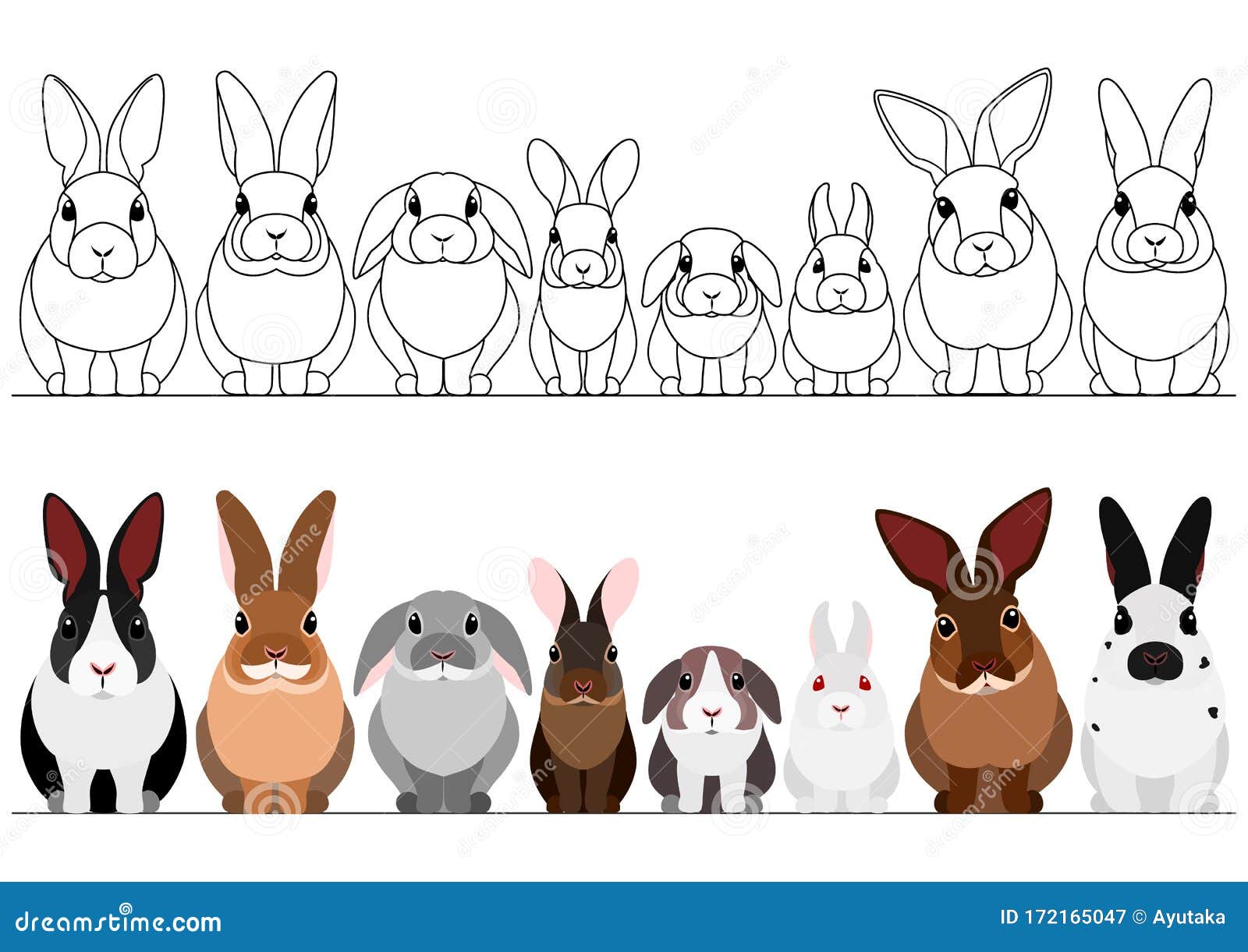 Rabbits Breeds Chart Vector Illustration | CartoonDealer.com #111212194