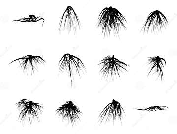 Set of realistic roots stock vector. Illustration of trees - 10726728