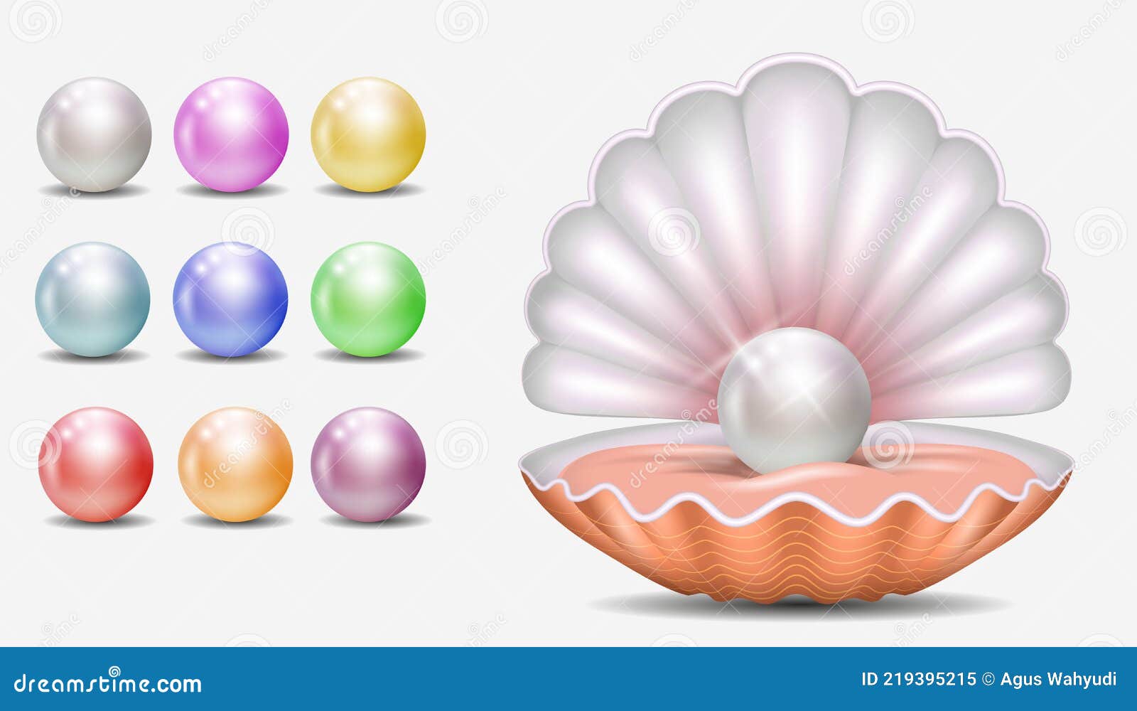 Set of Realistic Shiny Pearls or Various Color Pearls Inside Sea Shell ...