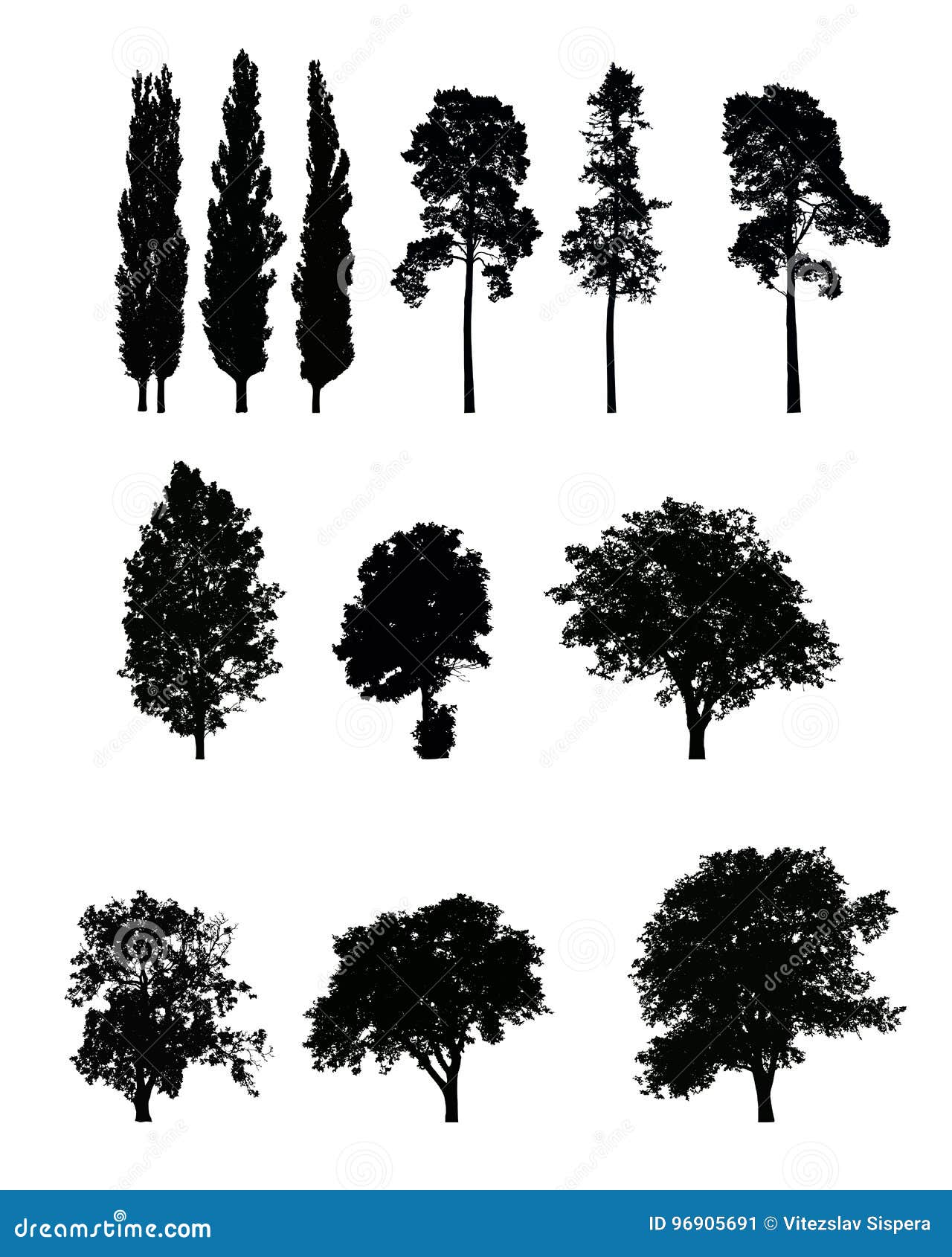 Set of Realistic Silhouettes of Trees, Isolated Stock Vector ...
