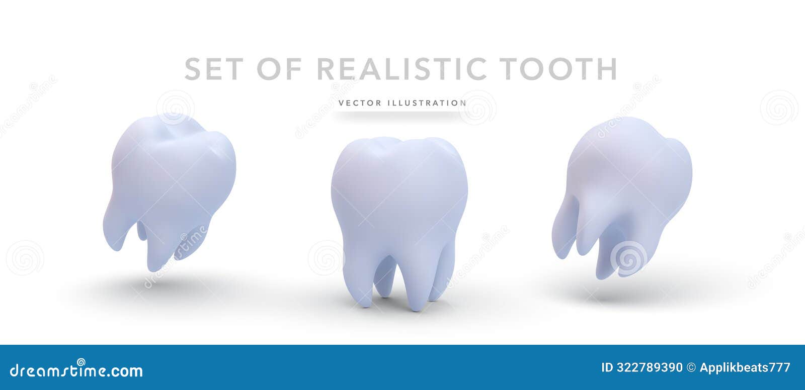 Set of Realistic Tooth Isolated on White Background. Vector ...