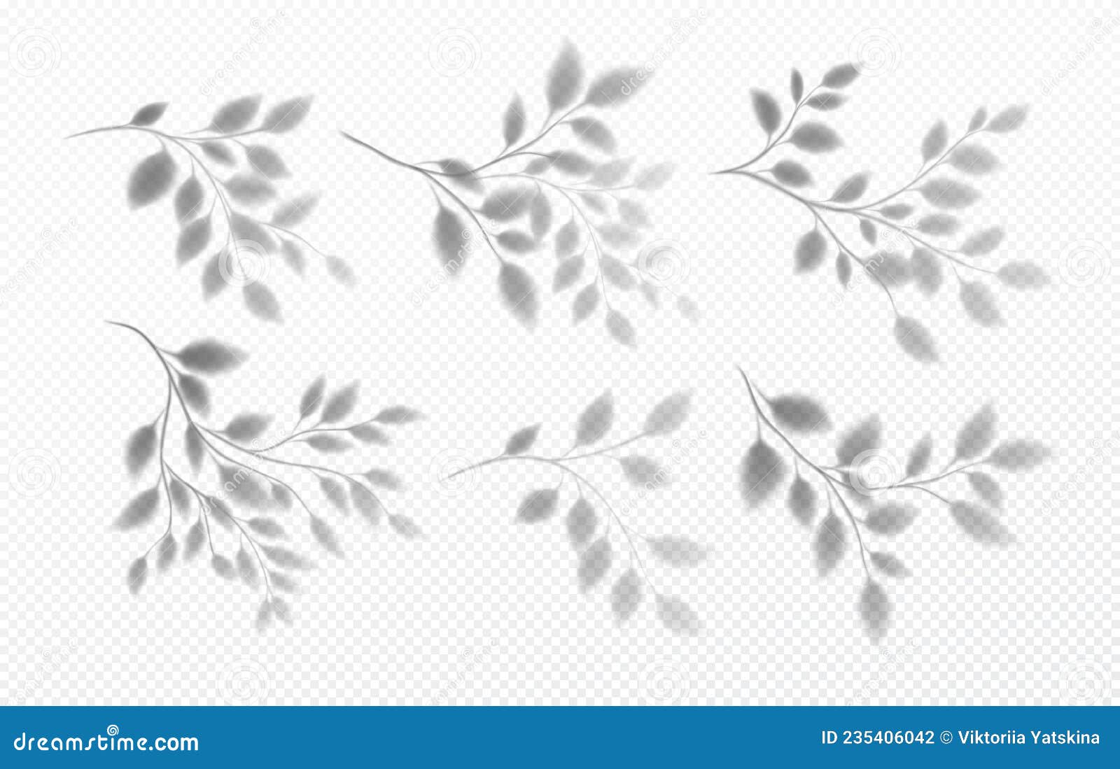 Set of Realistic Transparent Shadow of a Tree Branch with Leaves ...