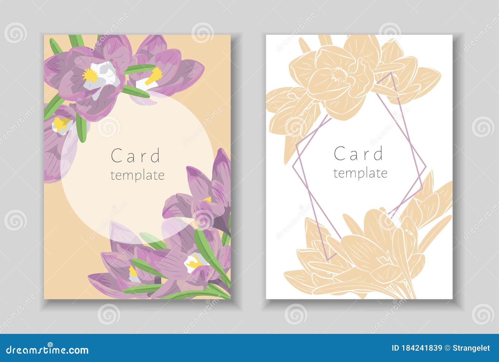 Set of Rectangular Frame with Hand Drawn Crocus Flower Arrangement ...