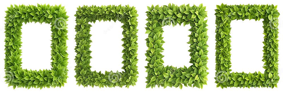 Set of Rectangular Leaf Frames on a White Background Stock Photo ...