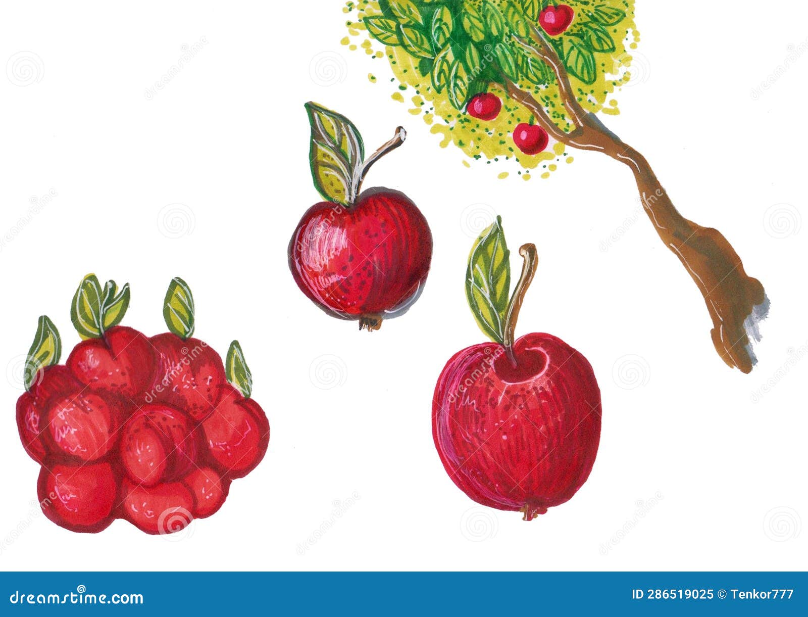 Set of Red Apples Illustration. Marker Drawing. Stock Image - Image of ...