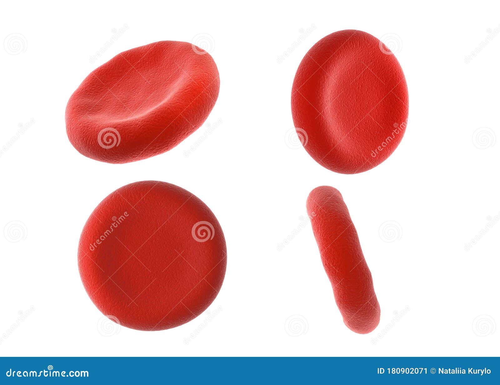 Set Red Blood Cell Isolated on White Background, Erythrocyte Model, 3D ...
